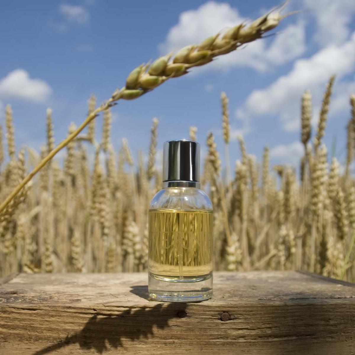 Fjerne Slumberhouse perfume - a fragrance for women and men 2020