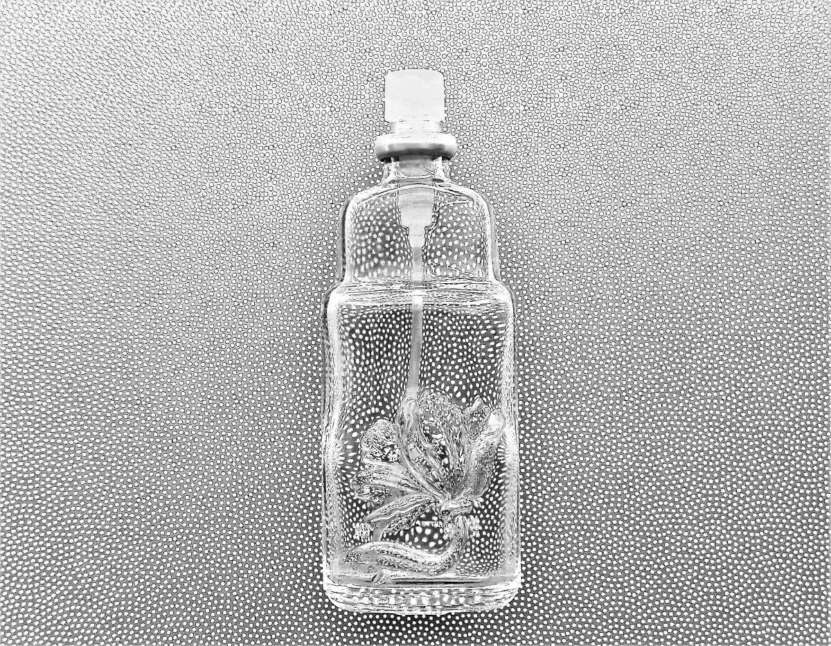 Jontue Revlon perfume - a fragrance for women 1976