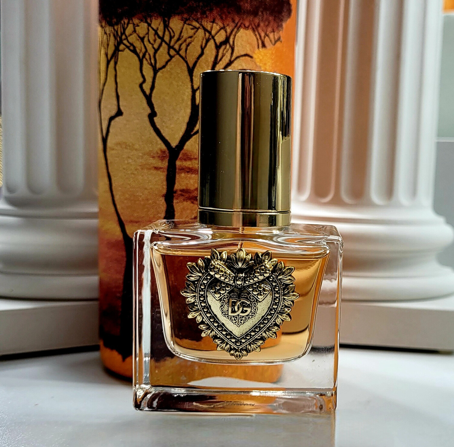 Devotion Dolce&Gabbana perfume - a new fragrance for women 2023
