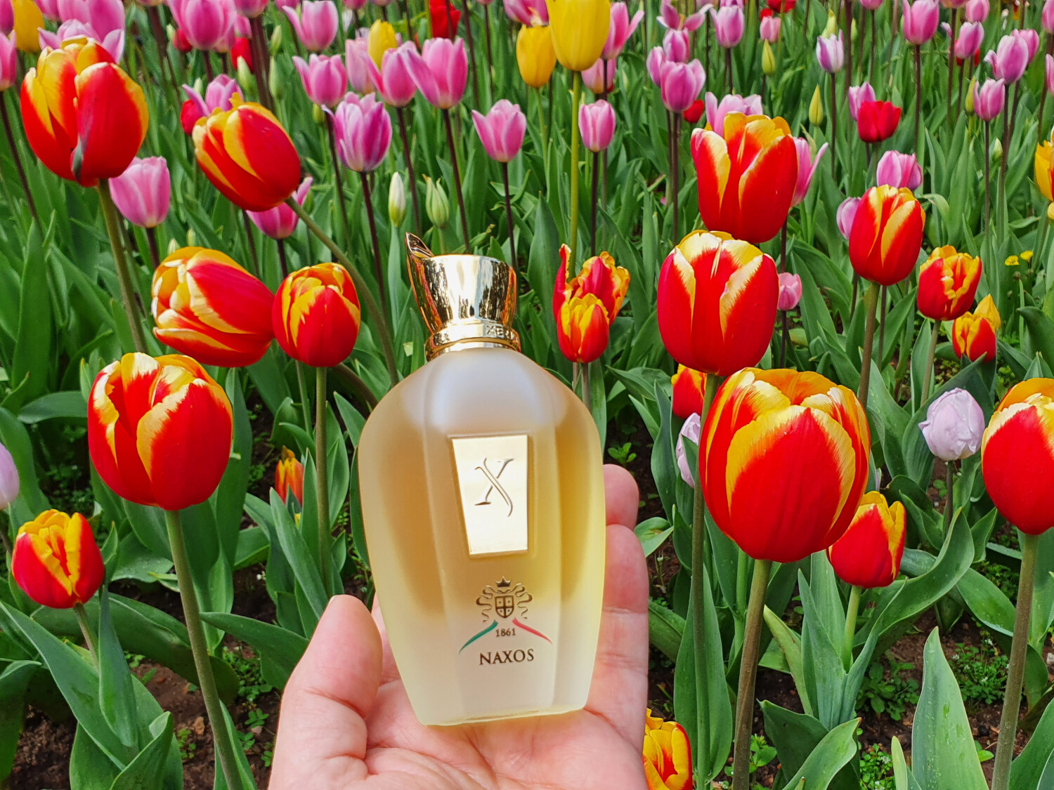 XJ 1861 Naxos Xerjoff perfume - a fragrance for women and men 2015
