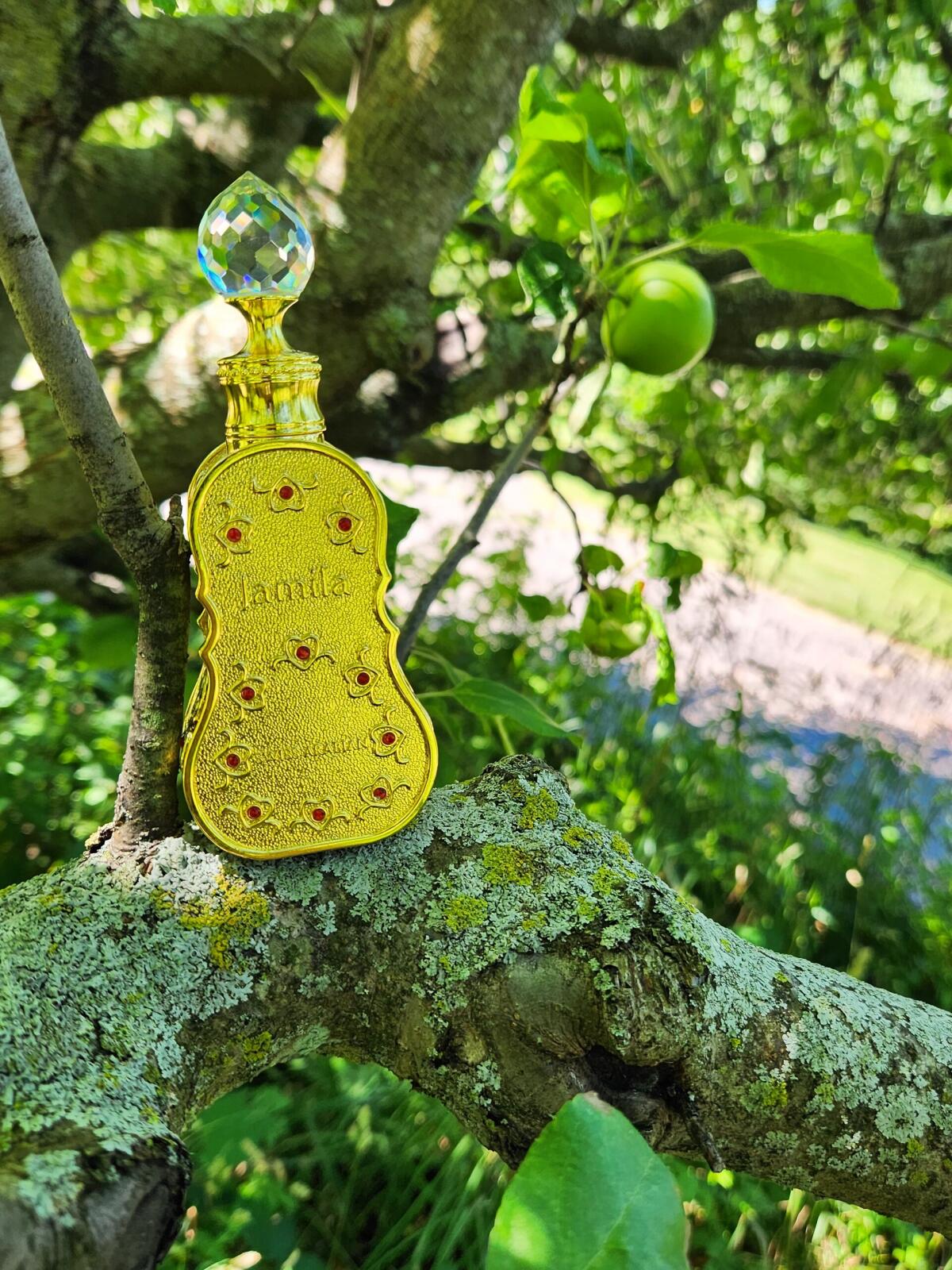 Jamila Swiss Arabian perfume - a fragrance for women