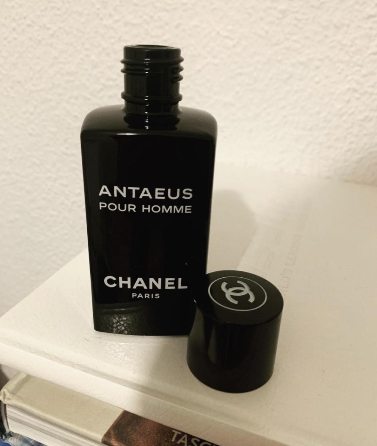 Antaeus Chanel cologne - a fragrance for men 1981