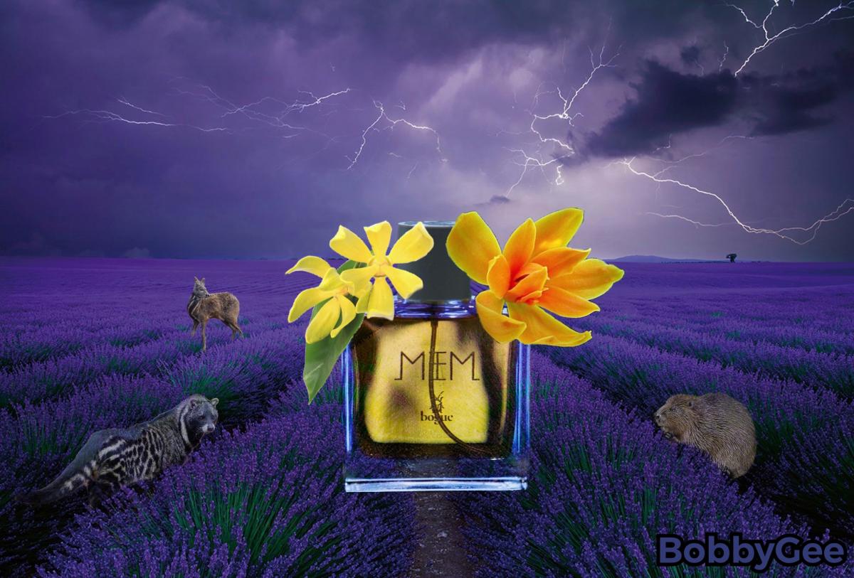 MEM Bogue perfume - a fragrance for women and men 2017