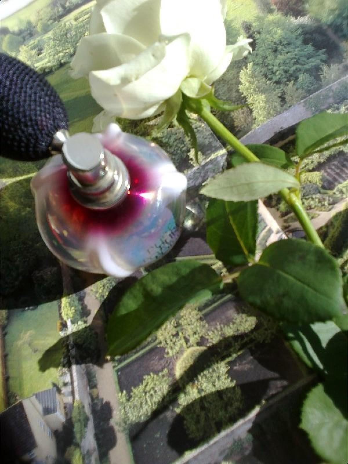 Pure Poison Elixir Dior perfume - a fragrance for women 2006
