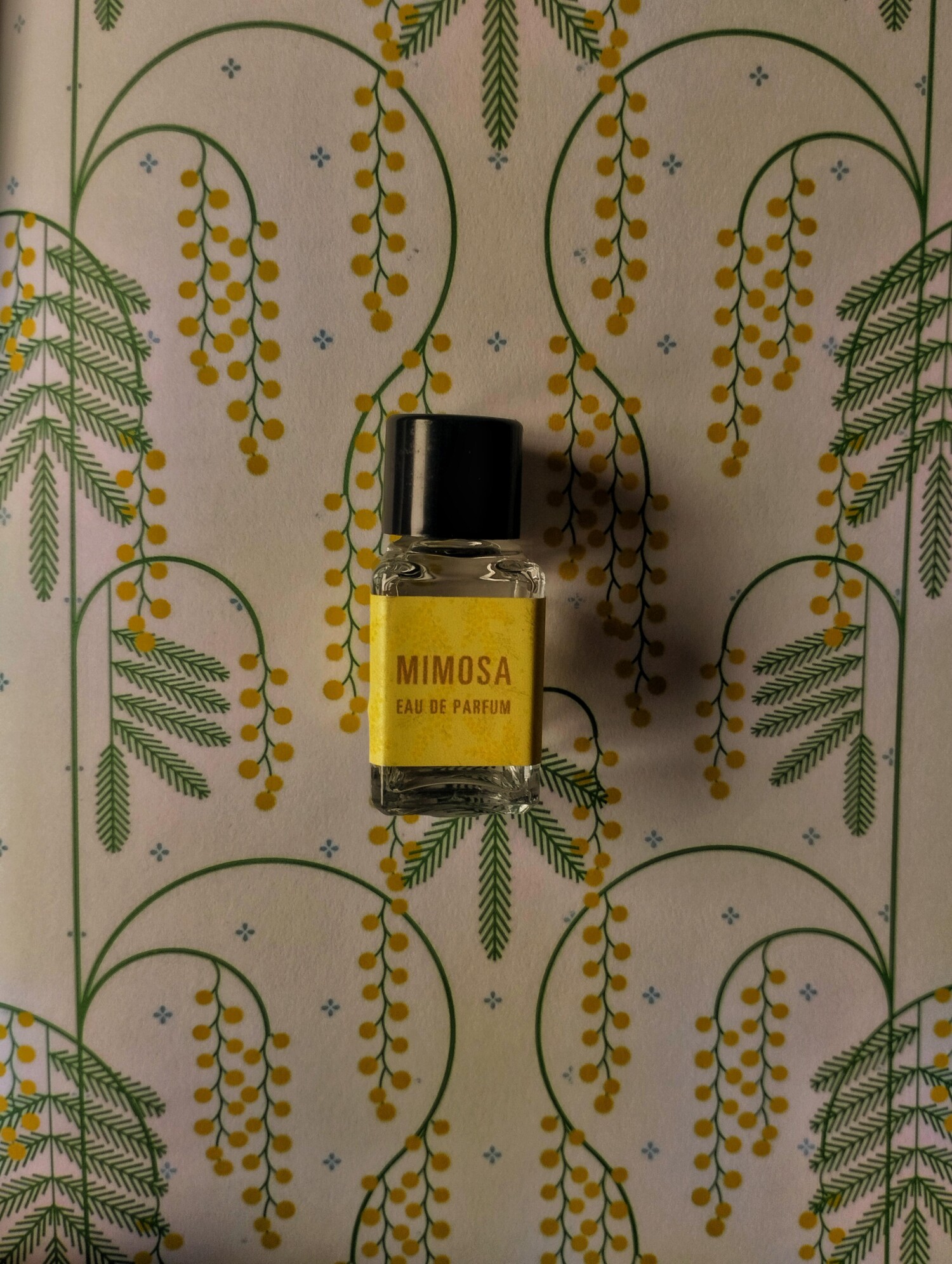 Mimosa Maria Candida Gentile perfume - a new fragrance for women and ...