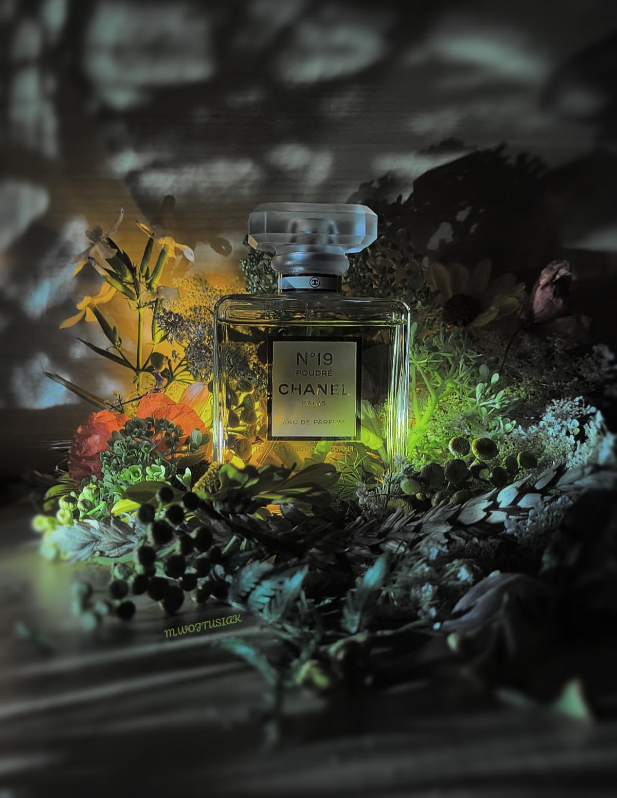 Chanel No 19 Poudre Chanel perfume - a fragrance for women 2011