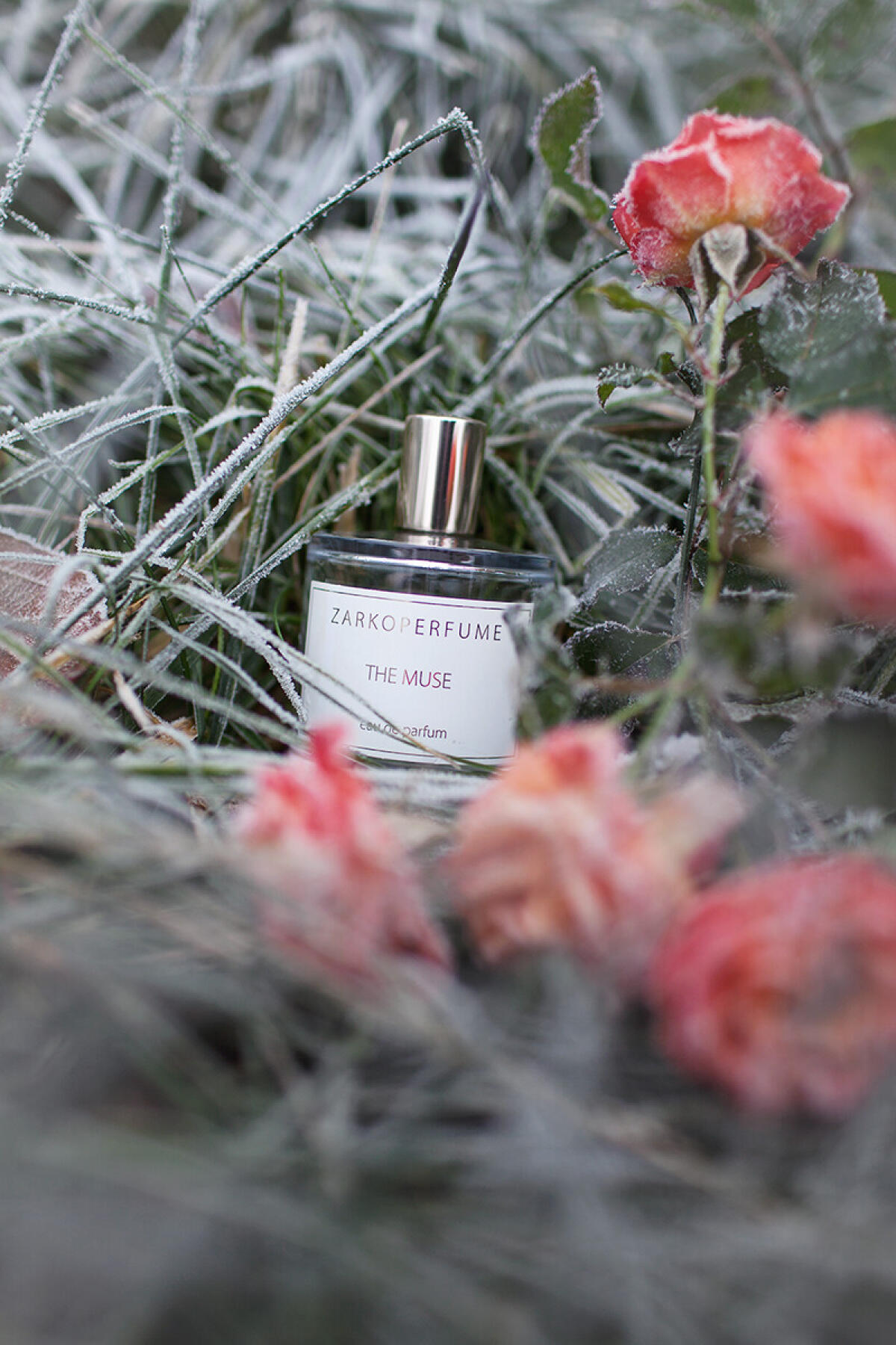 The Muse ZARKOPERFUME perfume - a fragrance for women 2020