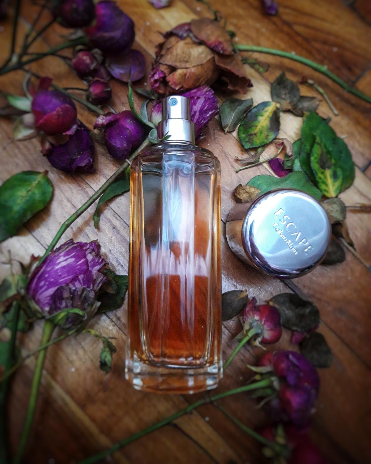 Escape Calvin Klein perfume - a fragrance for women 1991