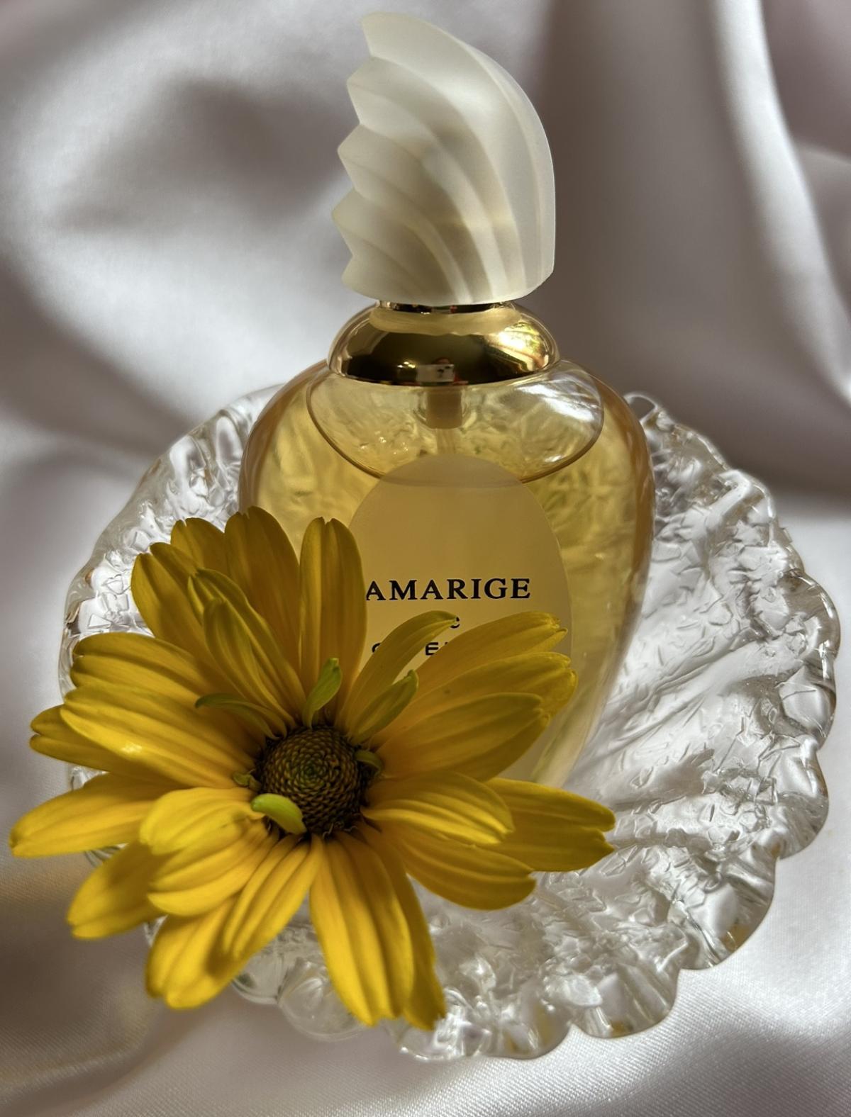 Amarige Givenchy perfume - a fragrance for women 1991