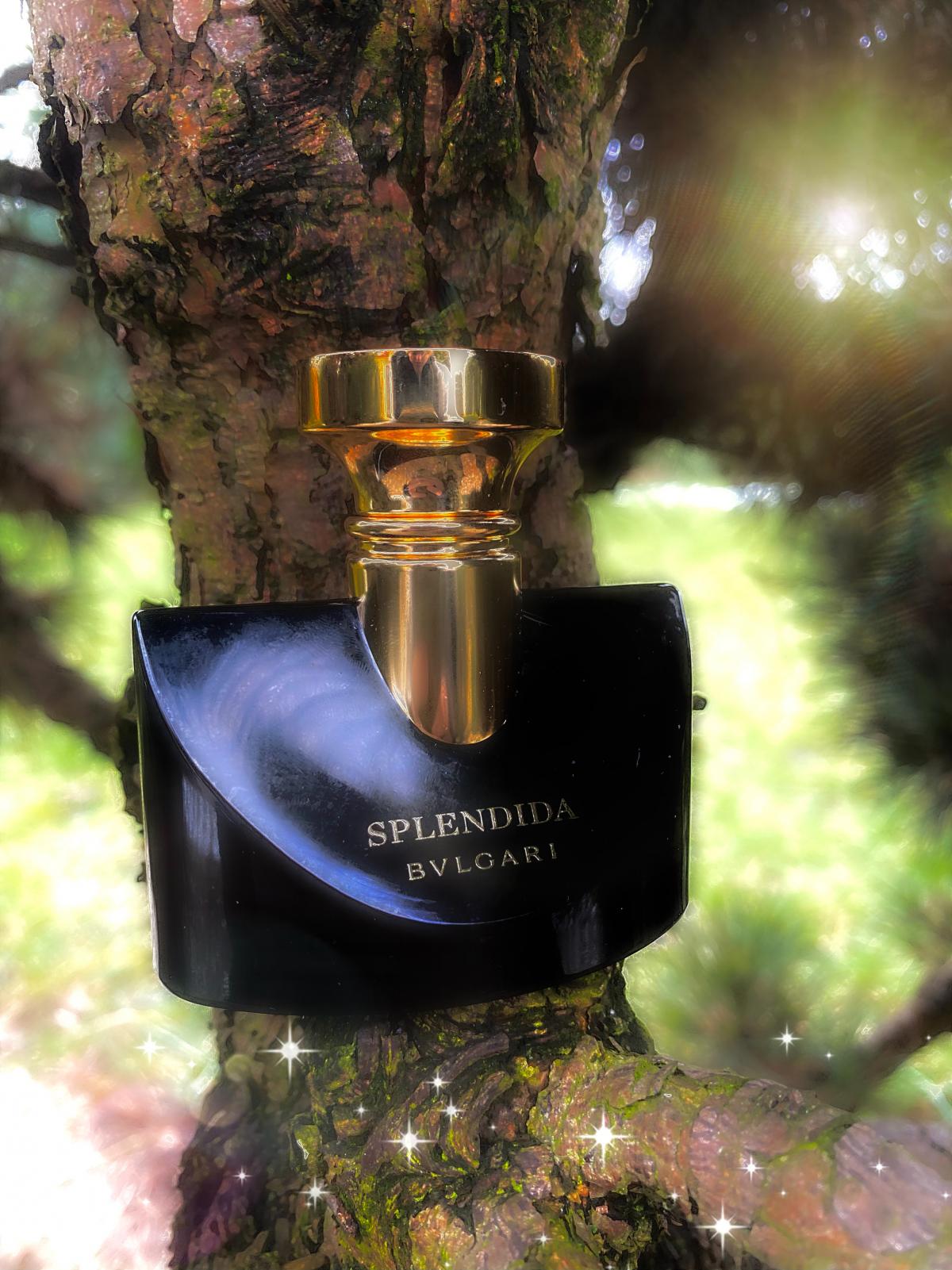 Splendida Jasmin Noir Bvlgari perfume - a fragrance for women 2017