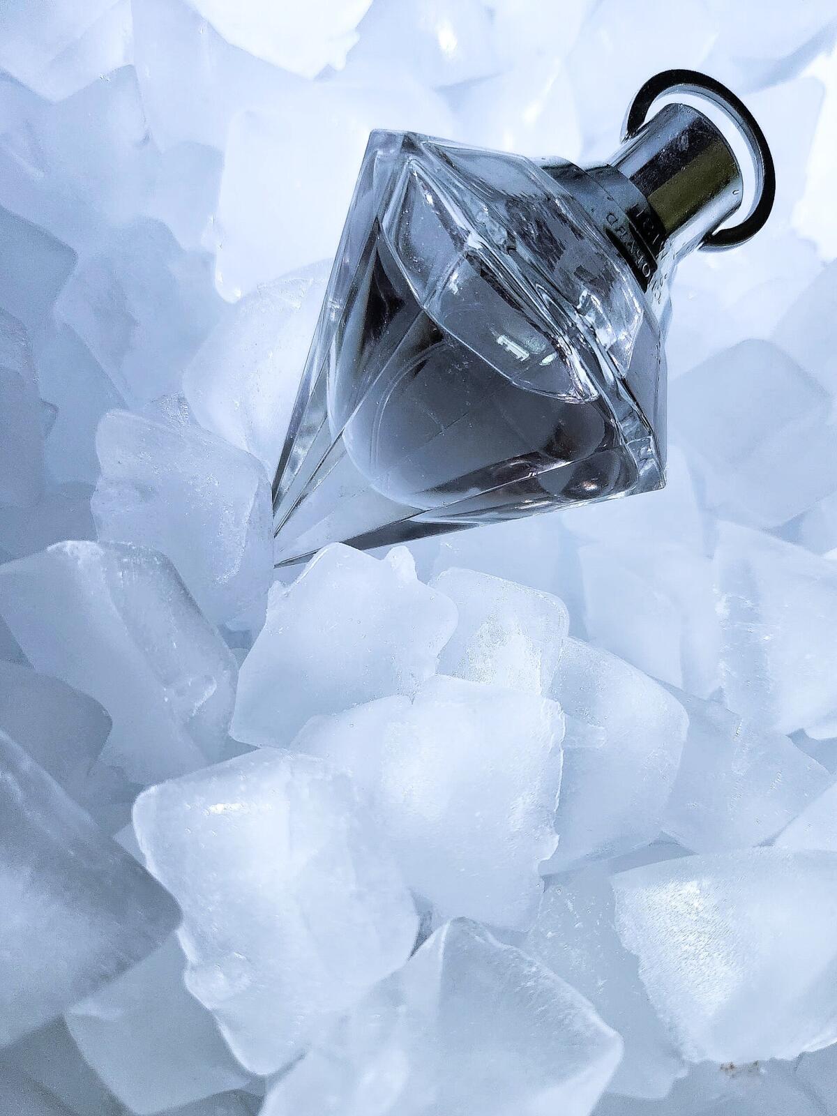 Wish Chopard perfume - a fragrance for women 1997