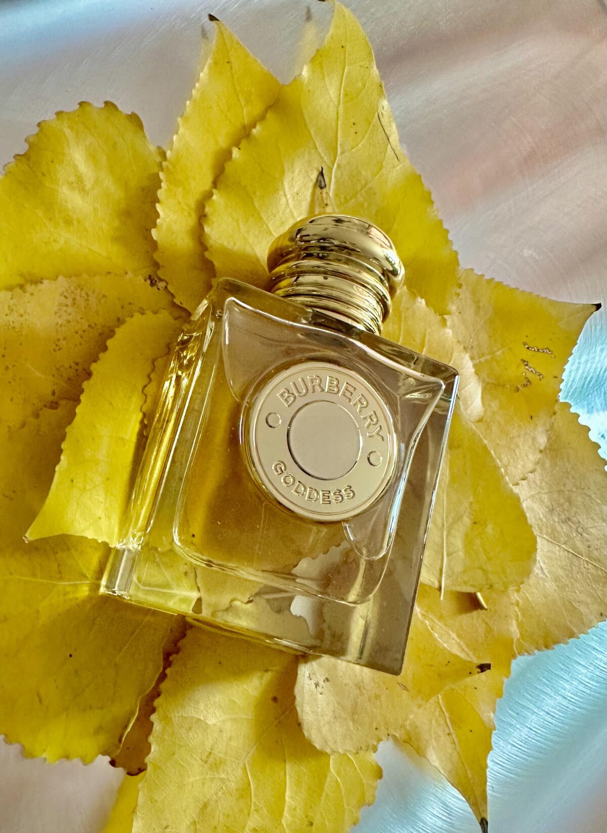 Goddess Burberry perfumy - to nowe perfumy dla kobiet 2023