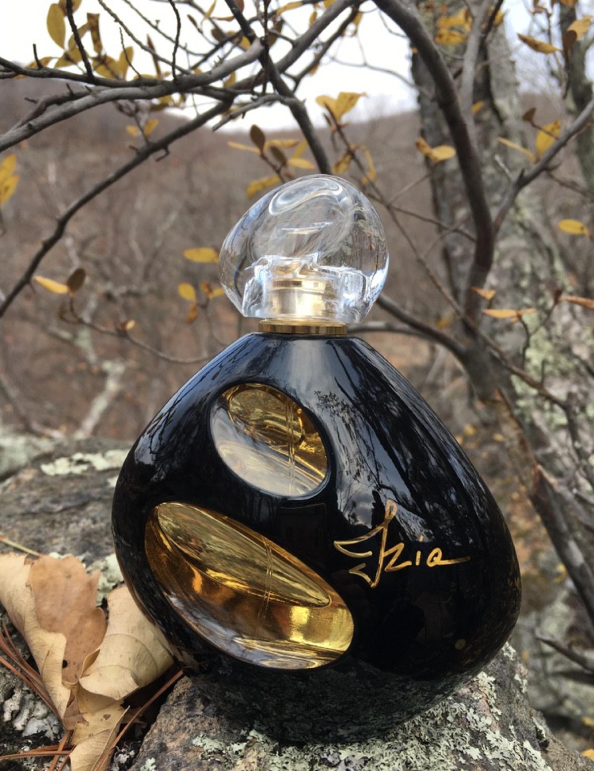 Izia La Nuit Sisley parfum - un parfum pour femme 2021