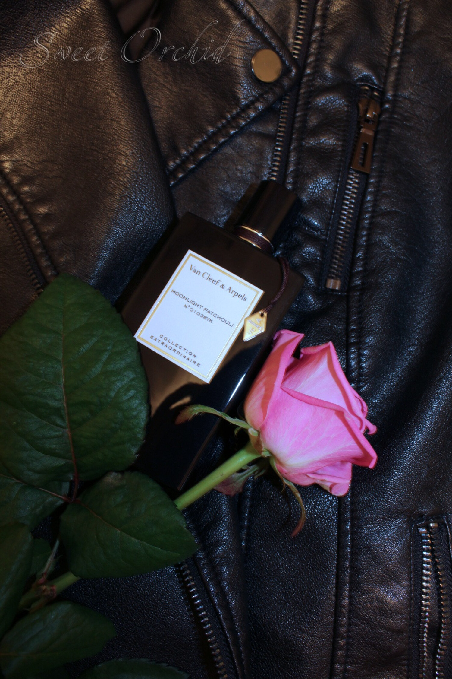 Moonlight Patchouli Van Cleef & Arpels perfume - a fragrance for women ...