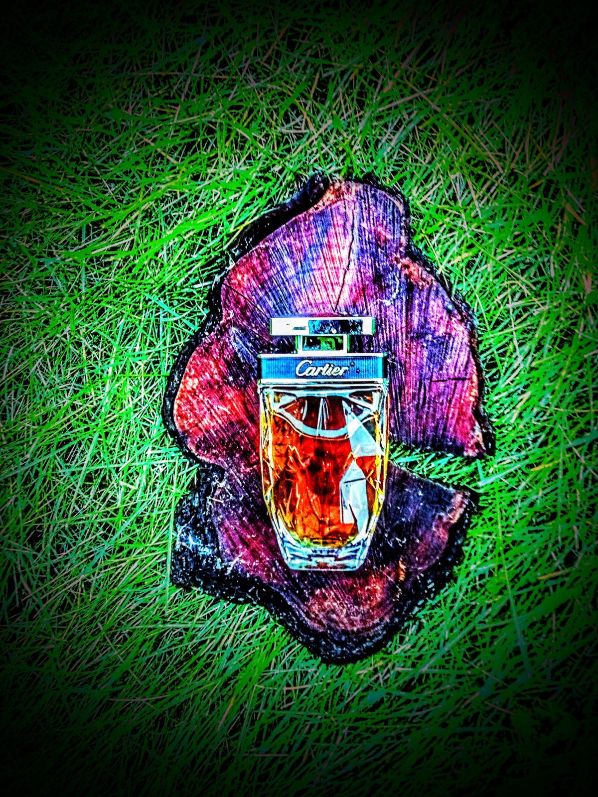 La Panthère Parfum Cartier perfume - a new fragrance for women 2020