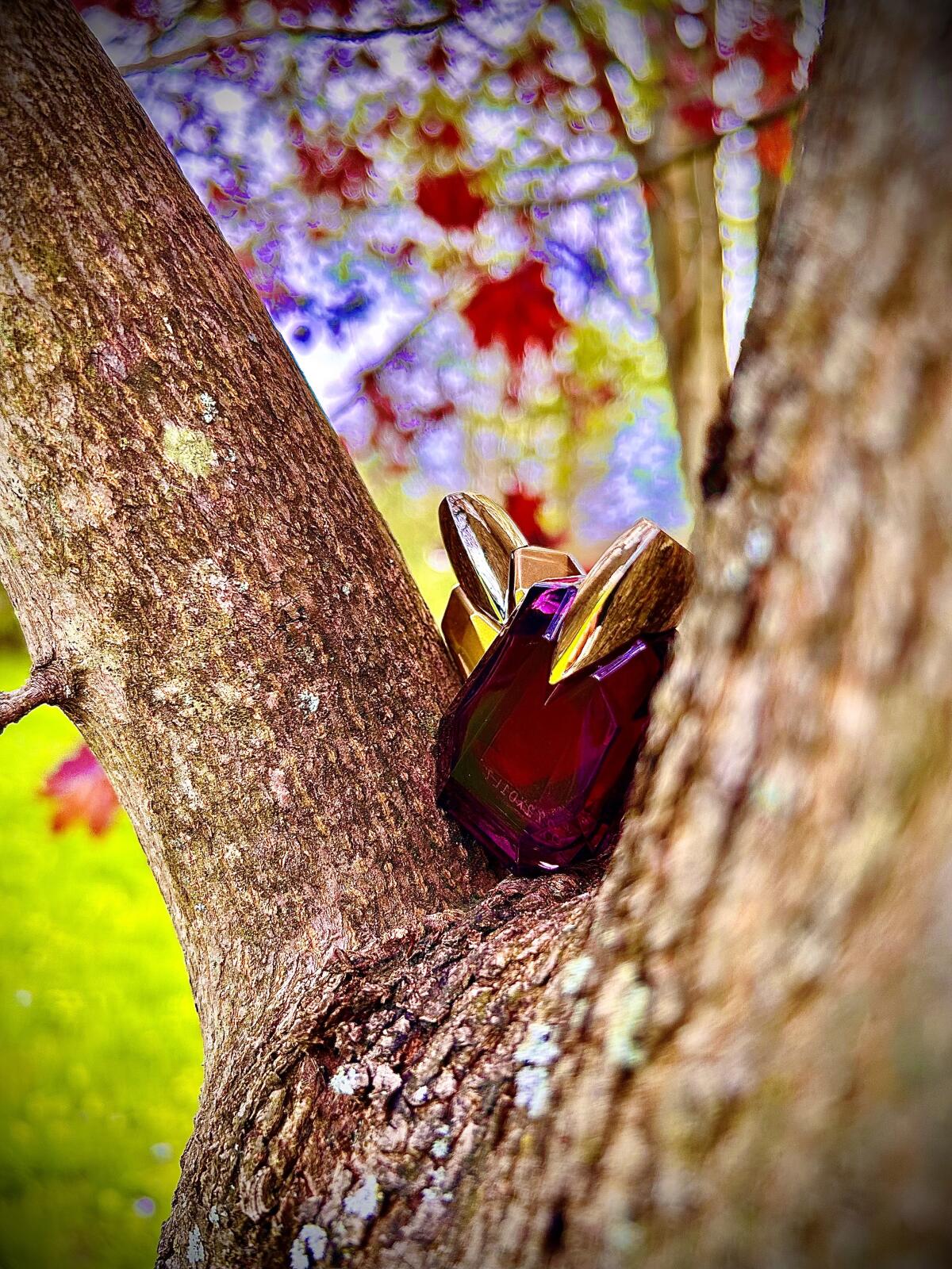 Alien Mugler perfume - a fragrance for women 2005