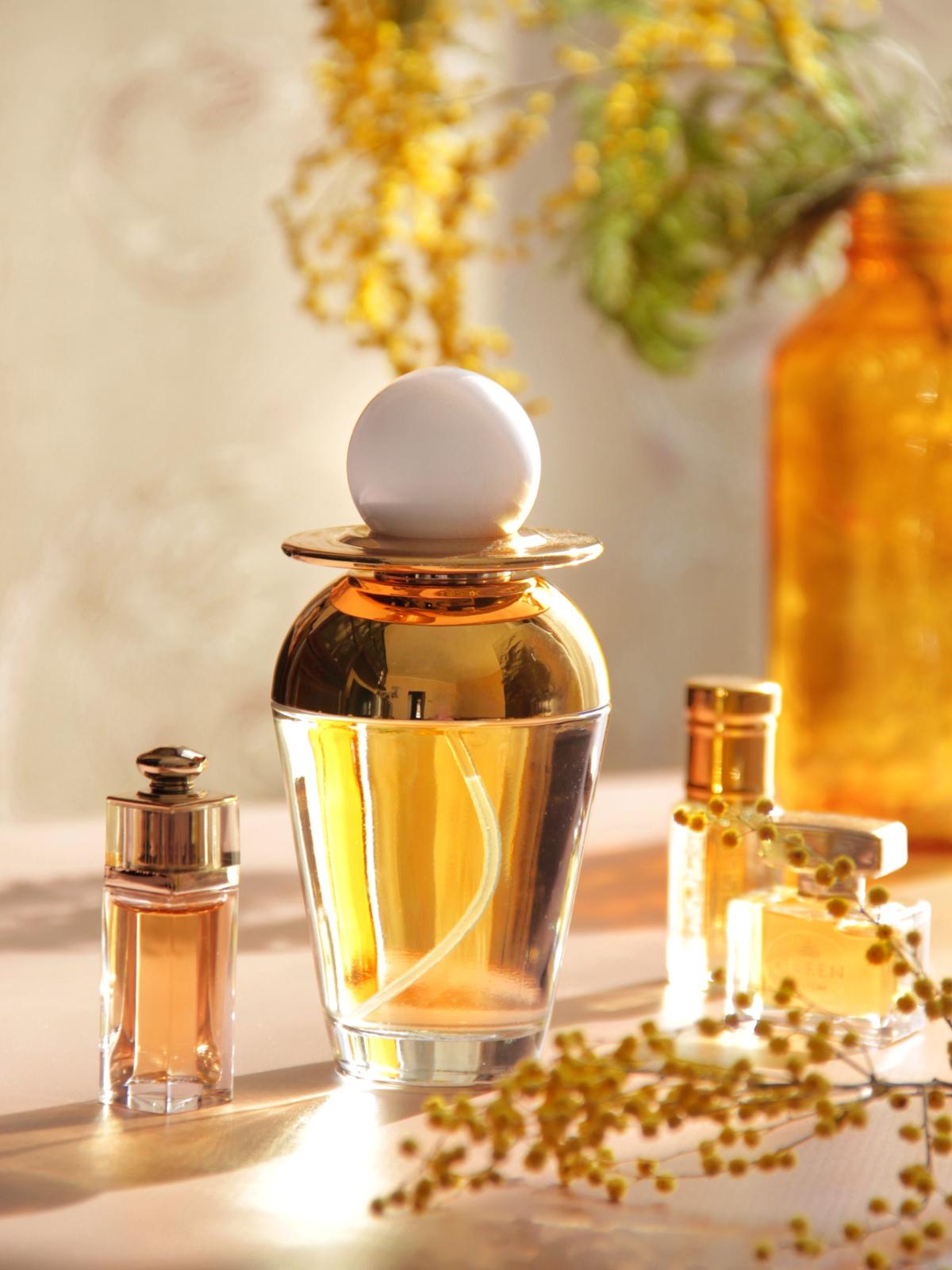 Charming Christine Darvin perfume - a fragrance for women 1995