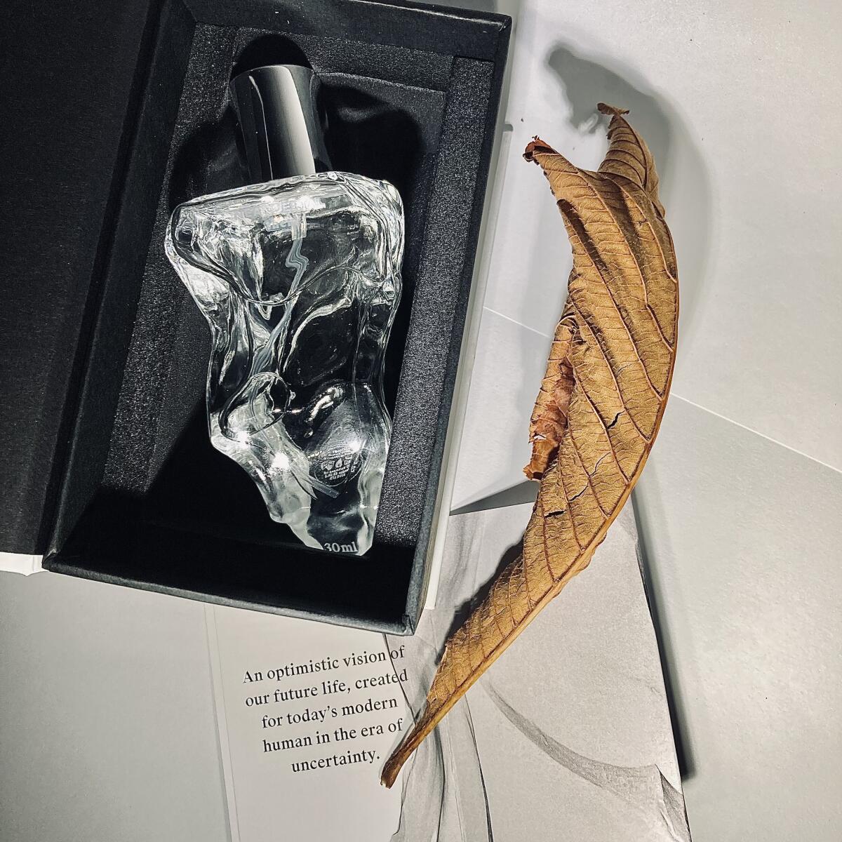 Neandertal Them Neandertal perfume - a fragrance for women and men 2020