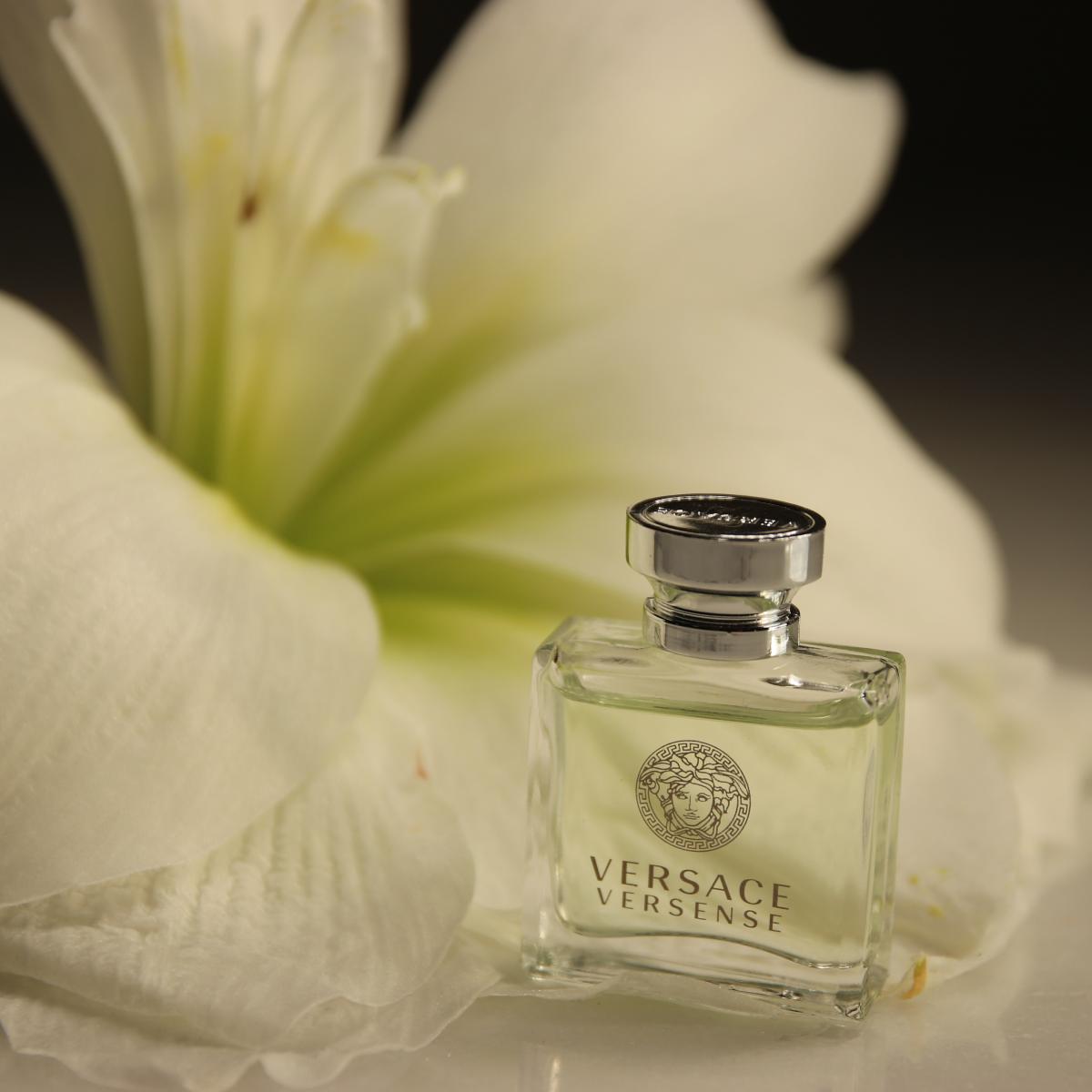 Versense Versace perfume - a fragrância Feminino 2009