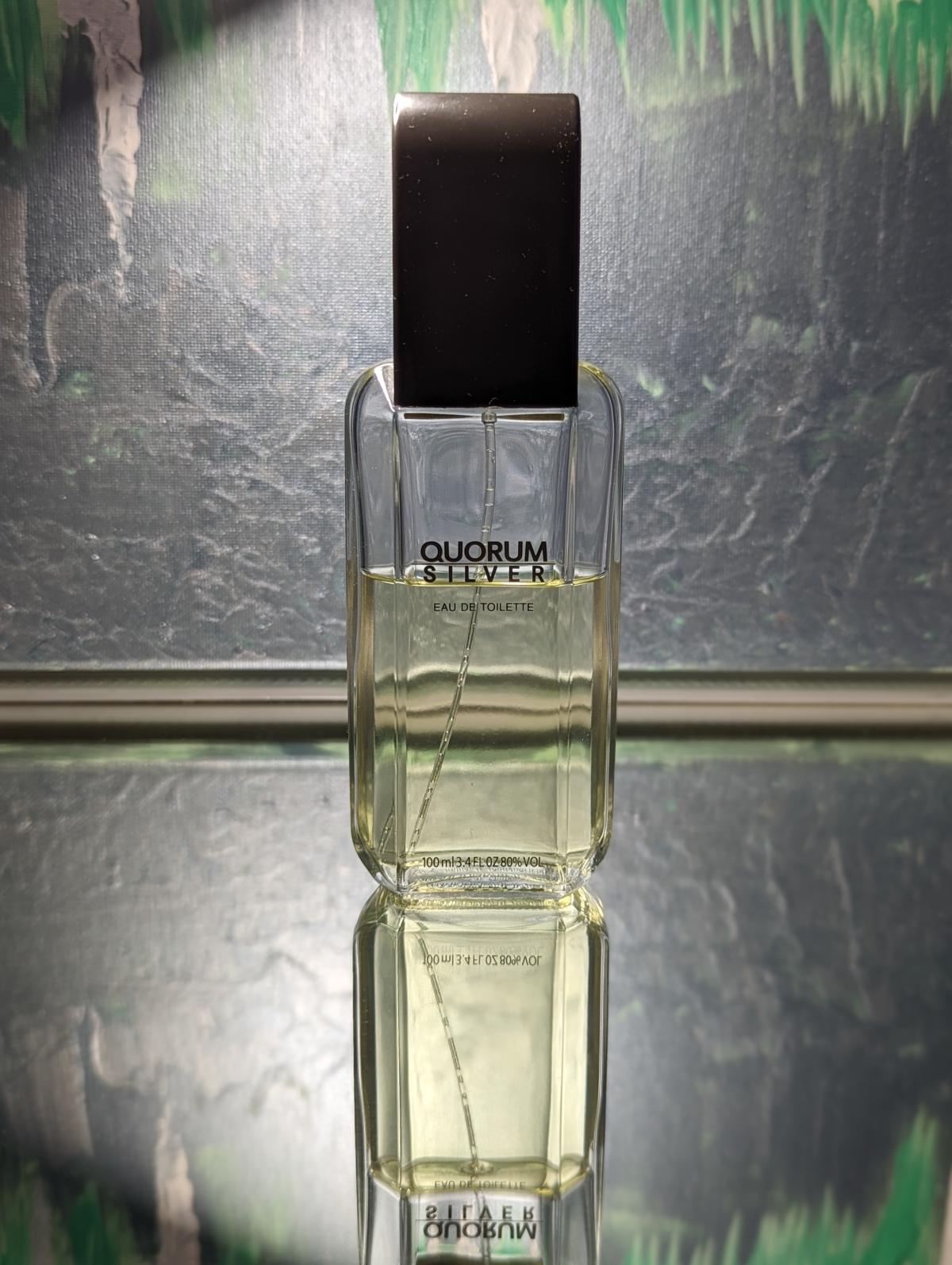 Quorum Silver Antonio Puig cologne - a fragrance for men 2005