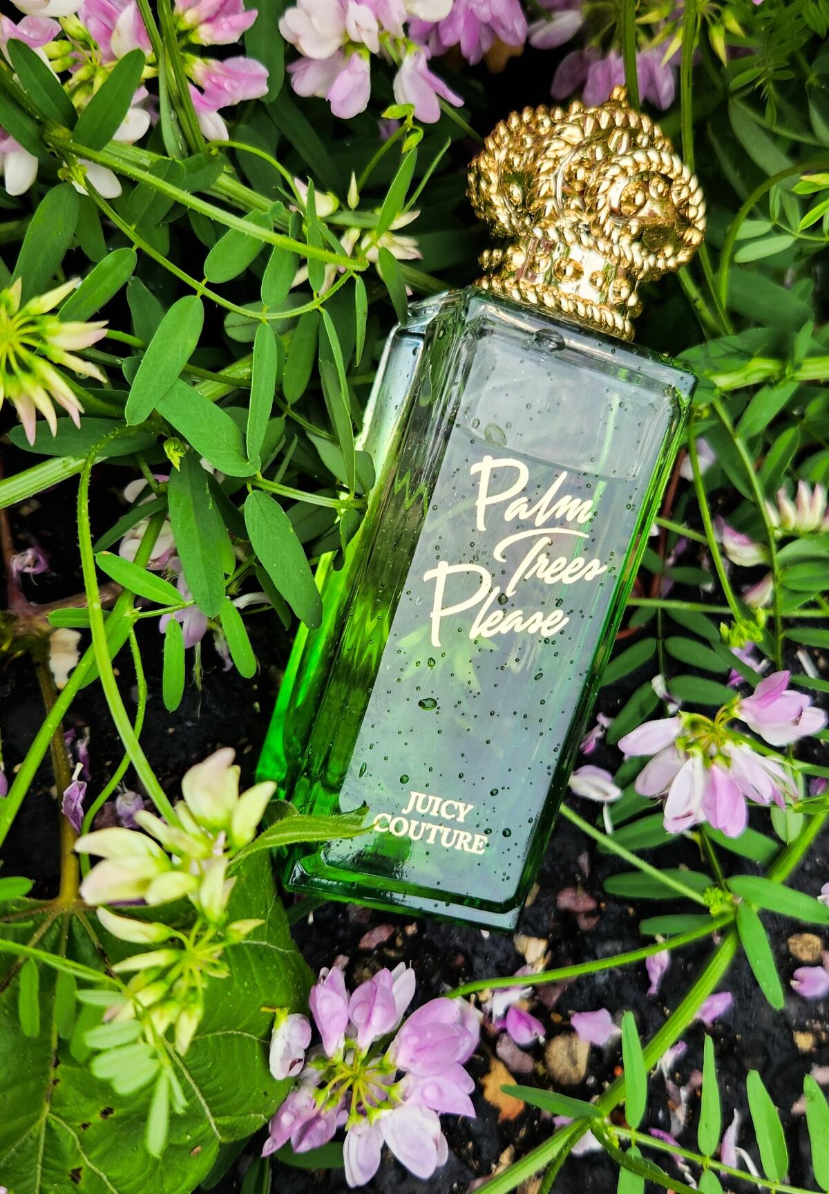 Palm Trees Please Juicy Couture perfume - a fragrance for women 2019