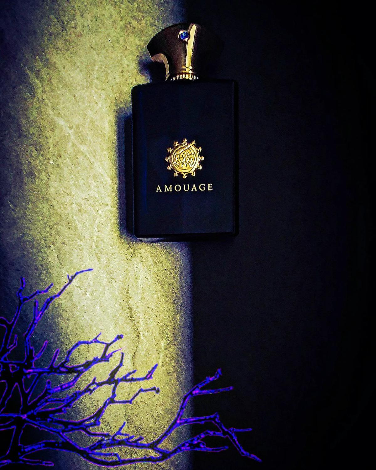 Interlude Man Amouage cologne - a fragrance for men 2012