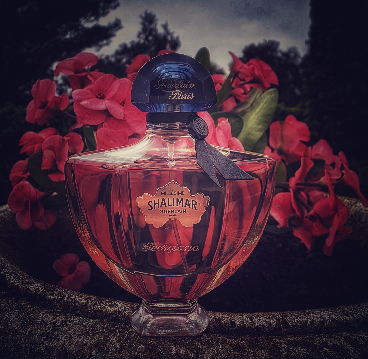 Shalimar Millesime Rose Guerlain perfume - a new fragrance for women 2026