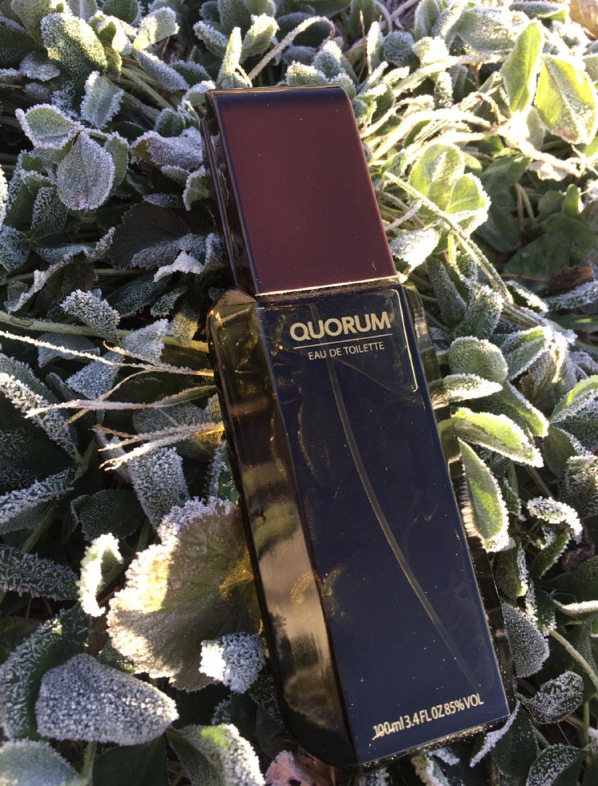 Quorum Antonio Puig cologne - a fragrance for men 1981