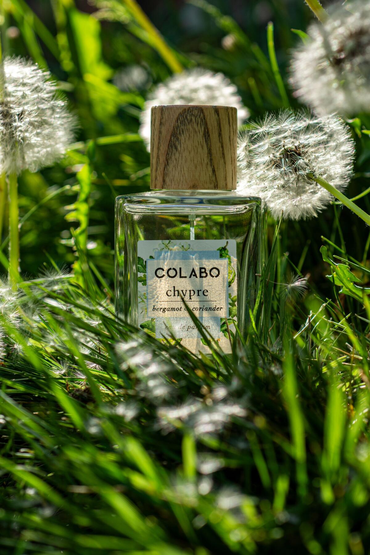 Chypre Bergamot & Coriander COLABO perfume - a fragrance for women and ...