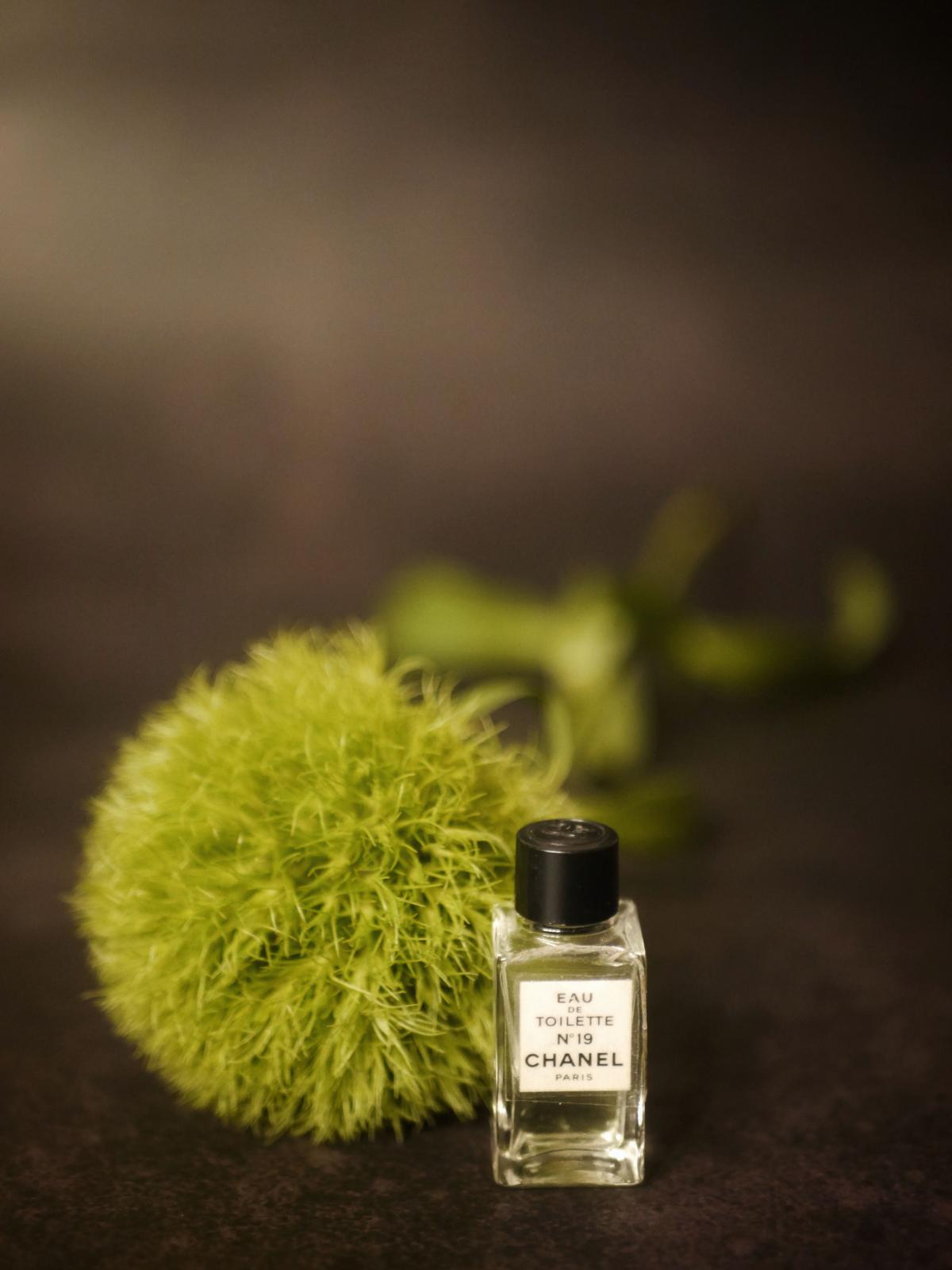 Chanel No 19 Eau de Parfum Chanel perfume - a fragrance for women