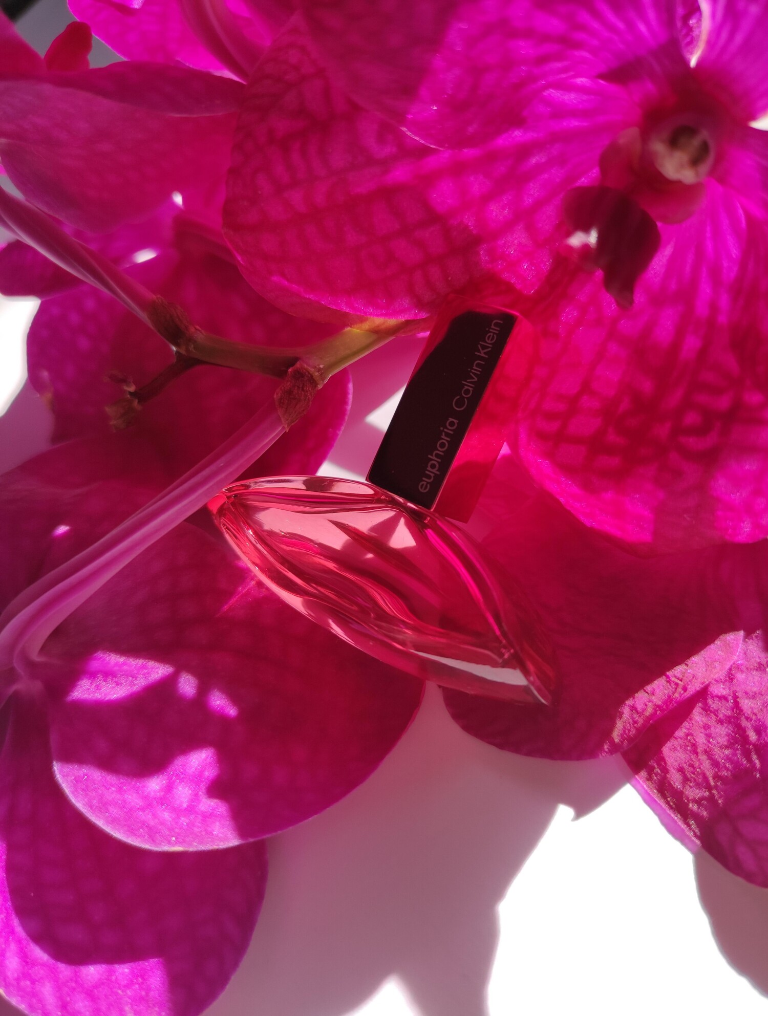 Euphoria Magnetic Elixir Calvin Klein perfume - a new fragrance for ...
