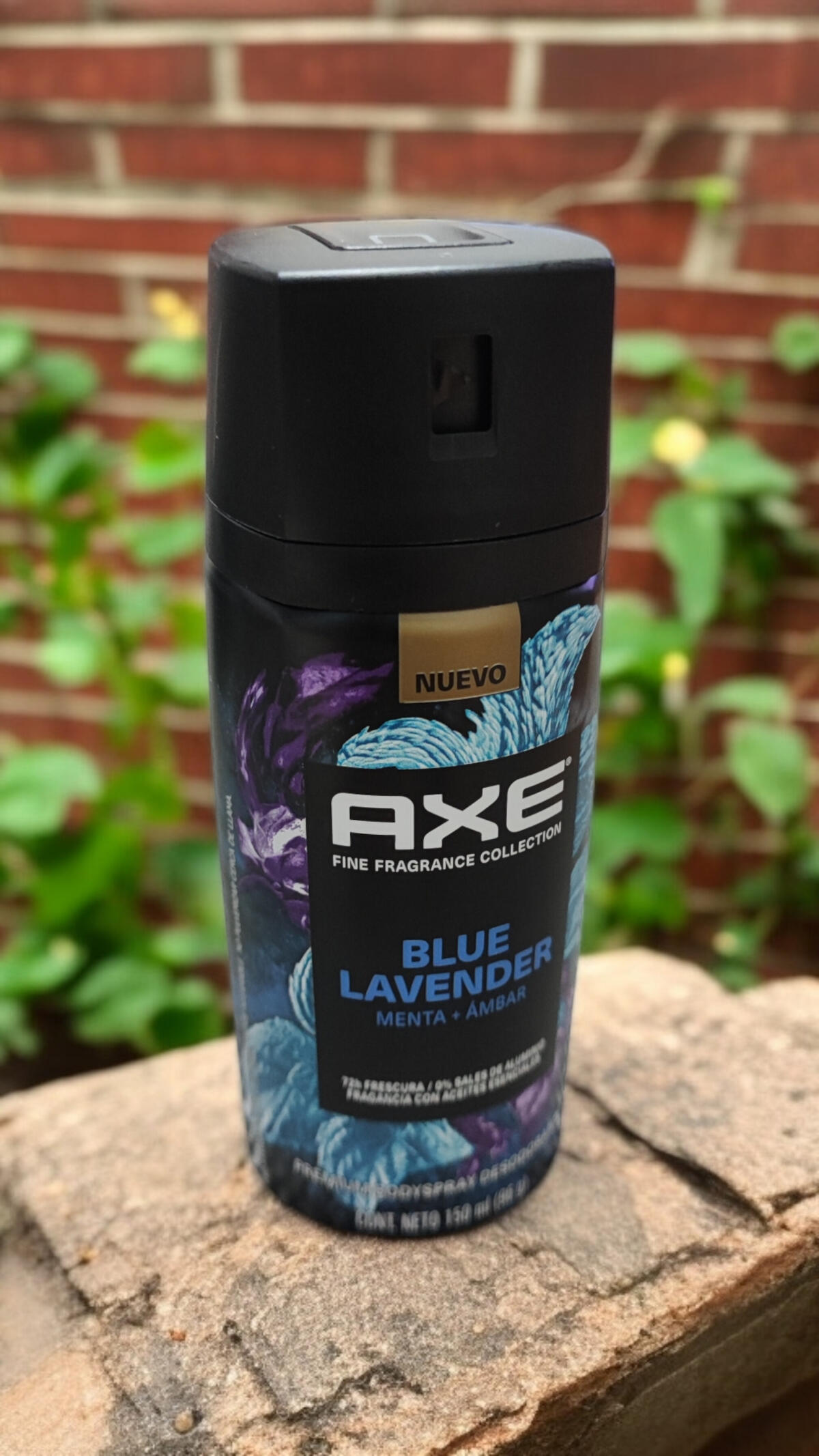 Blue Lavender AXE cologne - a new fragrance for men 2024