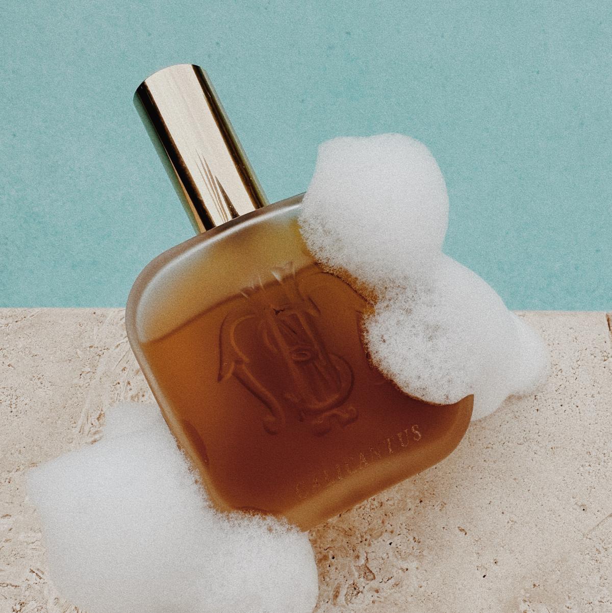 Calicantus Santa Maria Novella - una fragranza da donna 1999