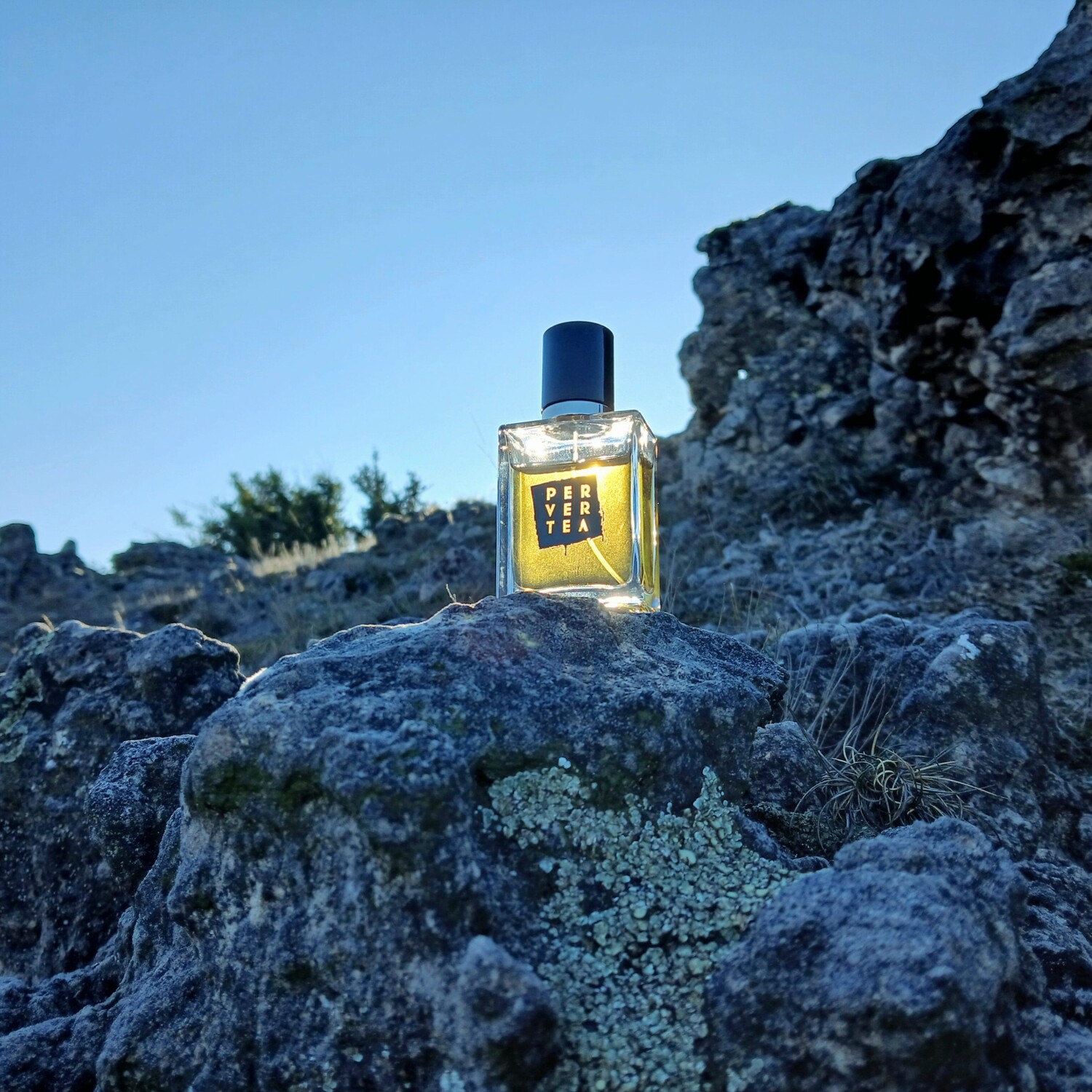 Pervertea Scent Hunters perfume - a fragrance for women and men 2023