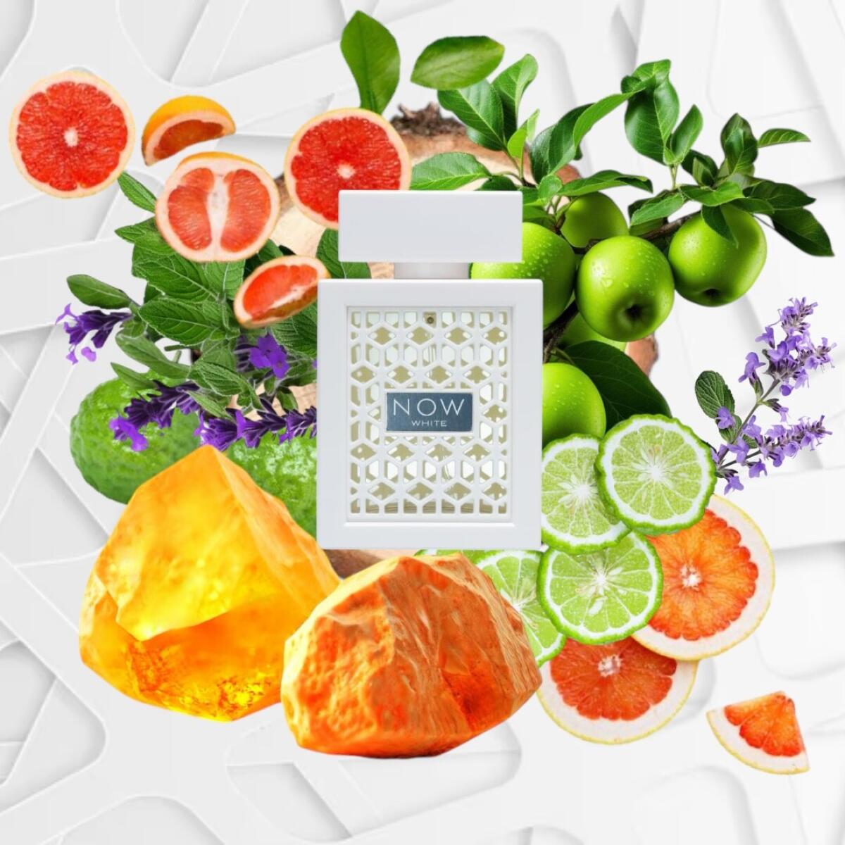 Now White RAVE perfume - a fragrance for women and men 2023