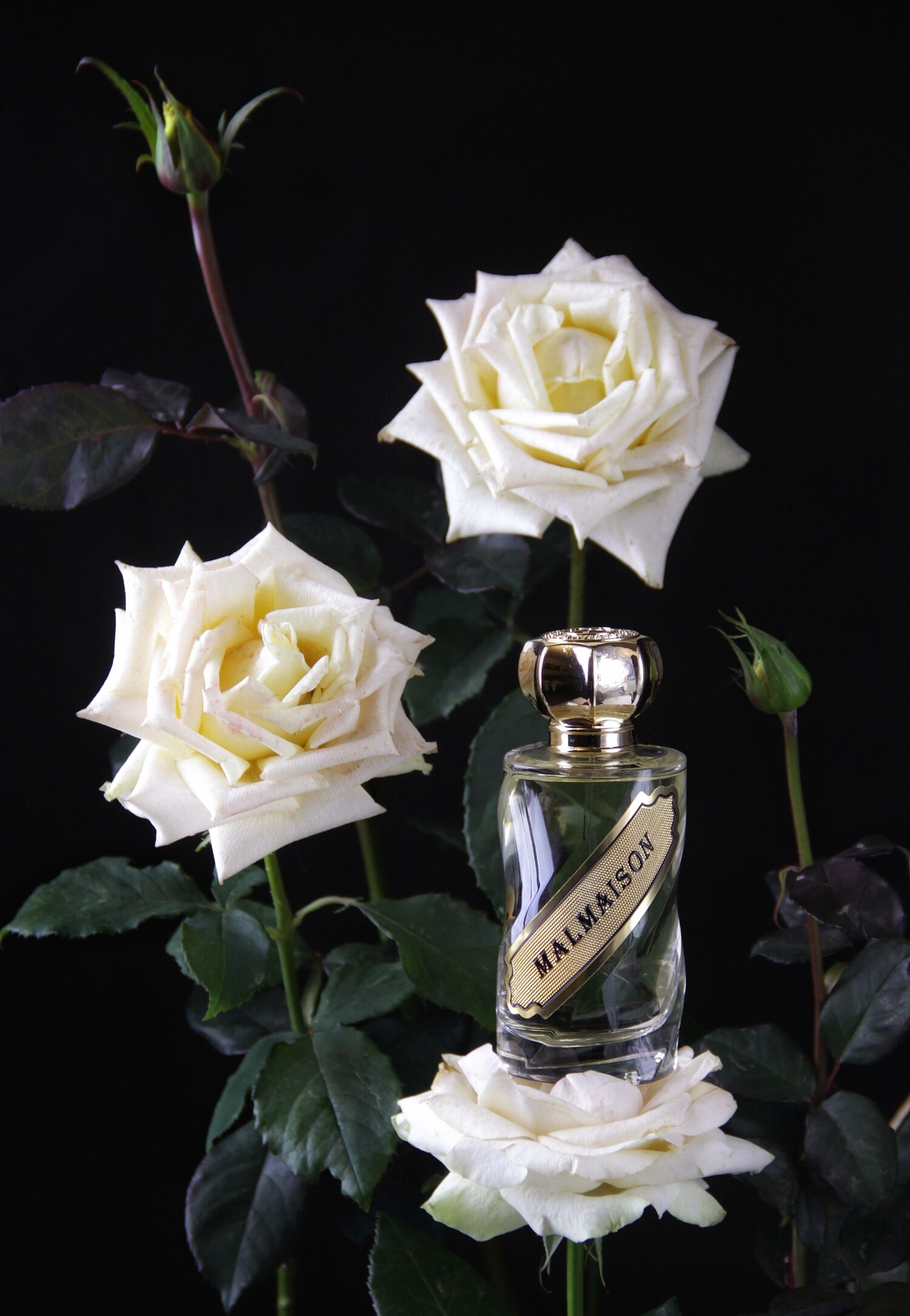 Malmaison 12 Parfumeurs Francais perfume - a fragrance for women and ...
