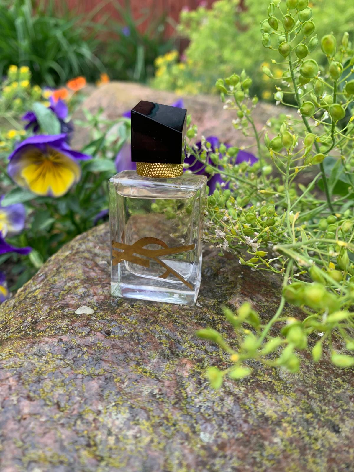 Libre Yves Saint Laurent perfume - a new fragrance for women 2019