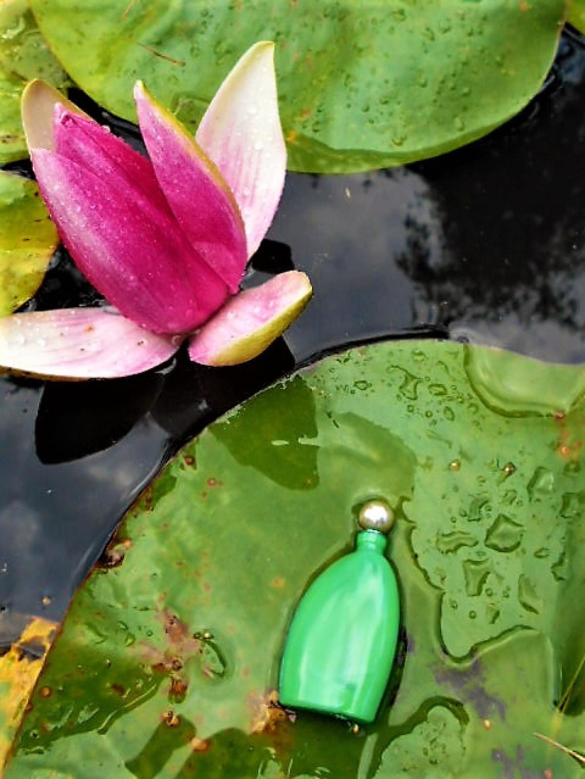 Eden Cacharel perfume - a fragrance for women 1994