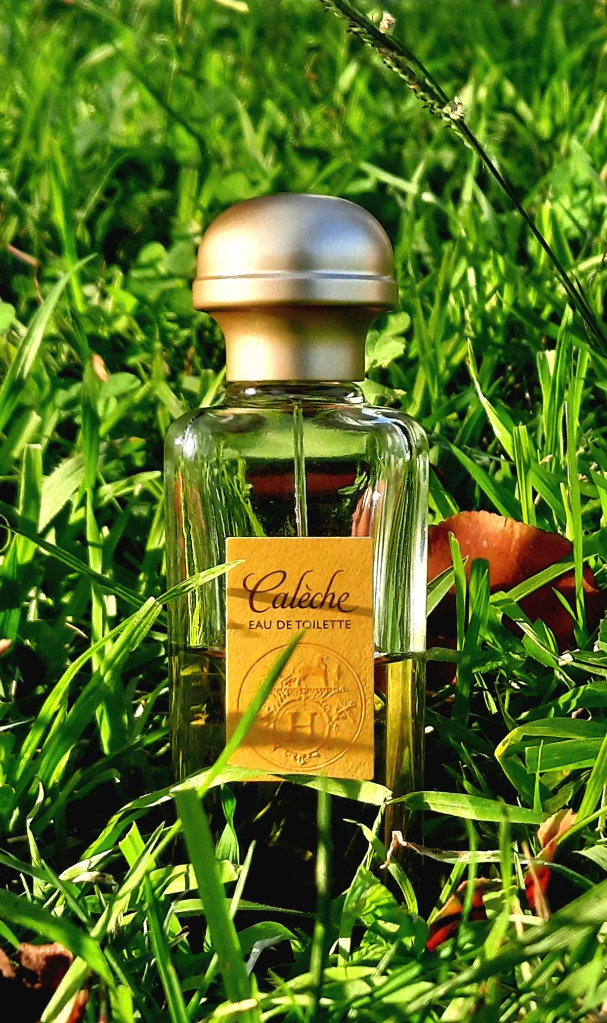 Caleche Hermès perfume - a fragrance for women 1961