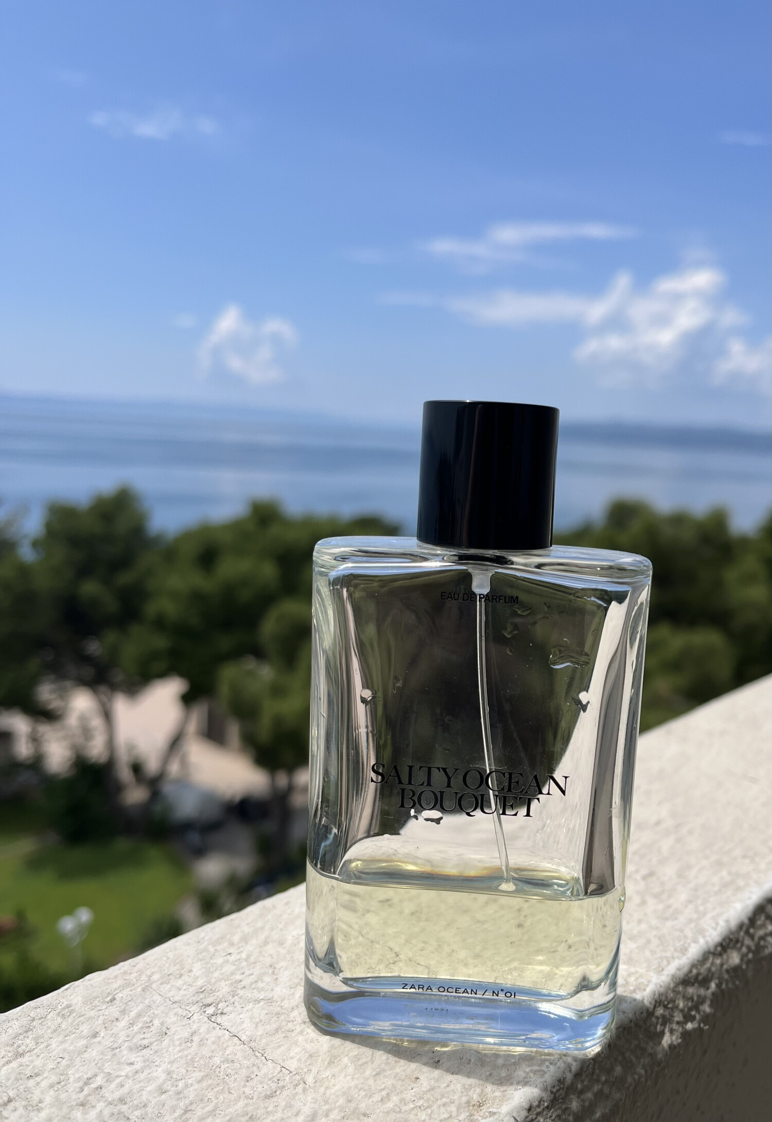 Salty Ocean Bouquet Zara perfume - a fragrance for women 2022