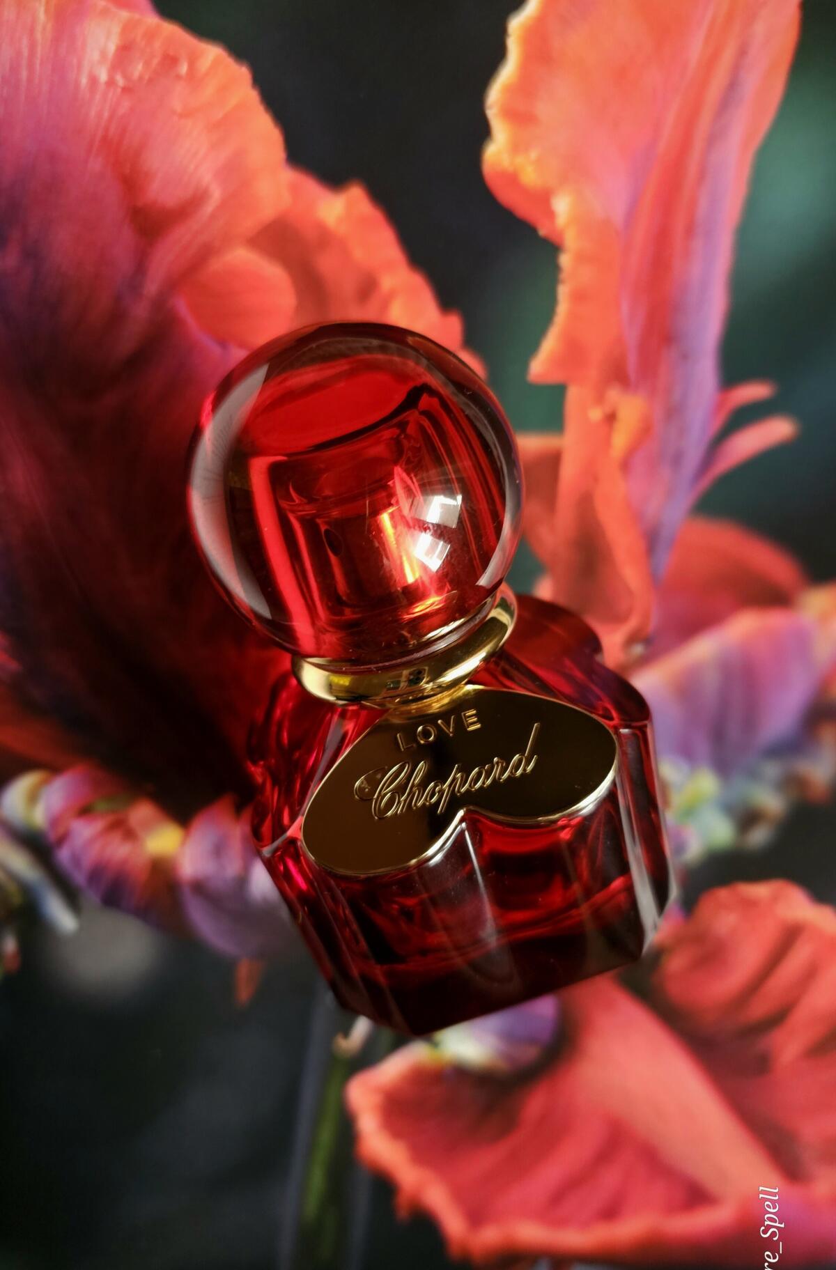 Love Chopard Chopard perfume - a fragrance for women 2020