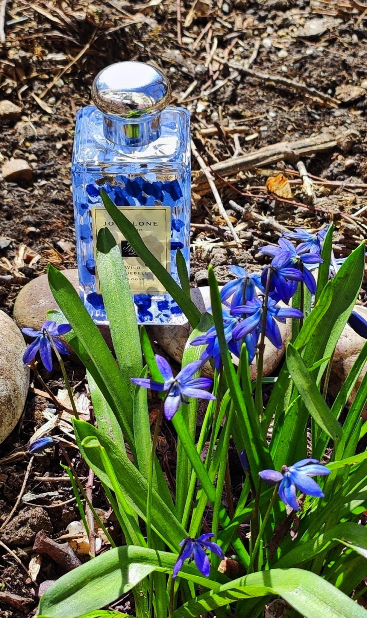 Wild Bluebell Jo Malone London perfume - a fragrance for women 2011
