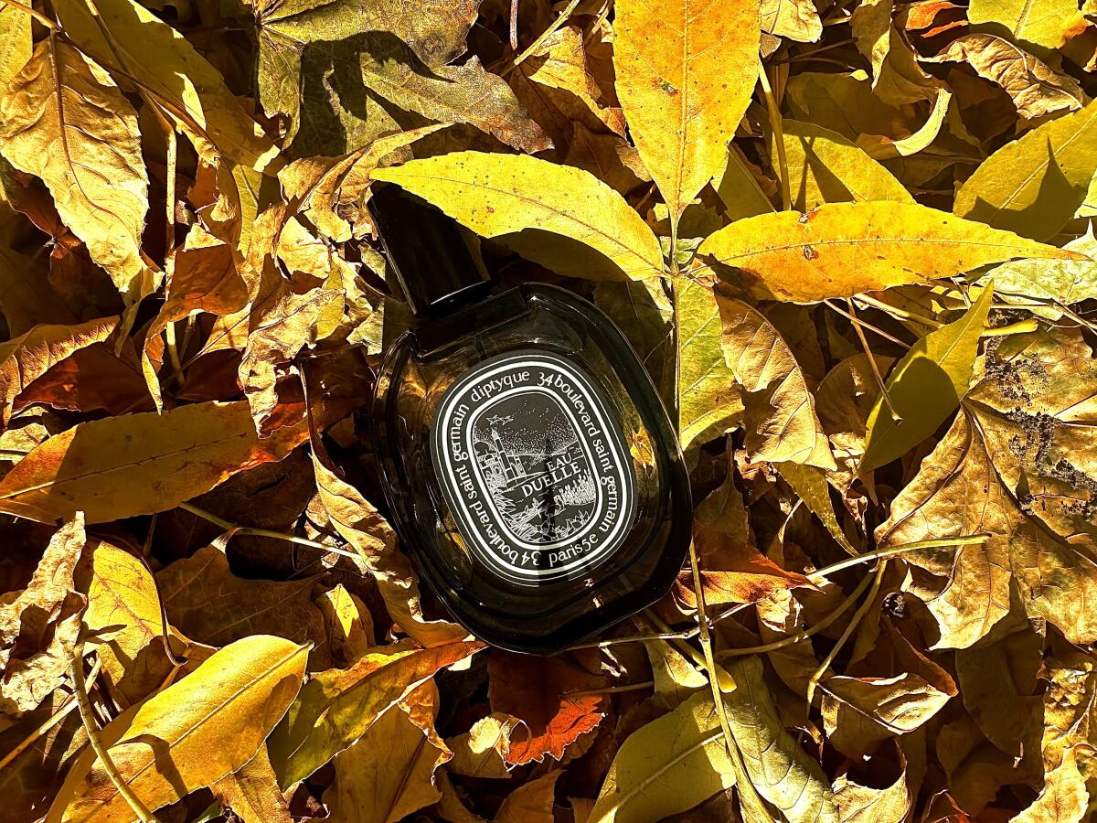 Eau Duelle Eau de Parfum Diptyque perfume - a fragrance for women and ...