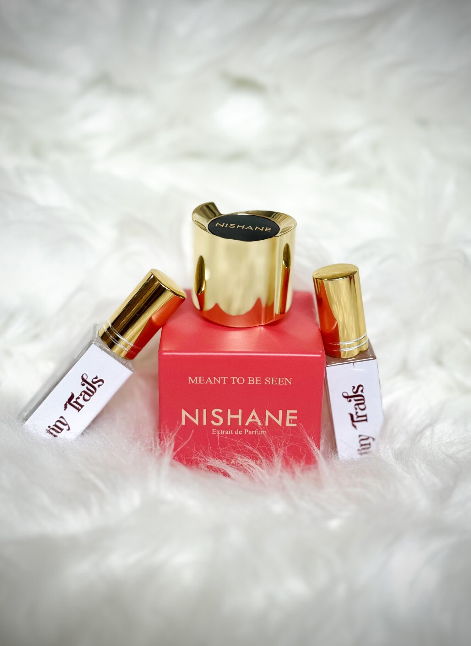 Meant To Be Seen Nishane perfume - a new fragrance for women and men 2025