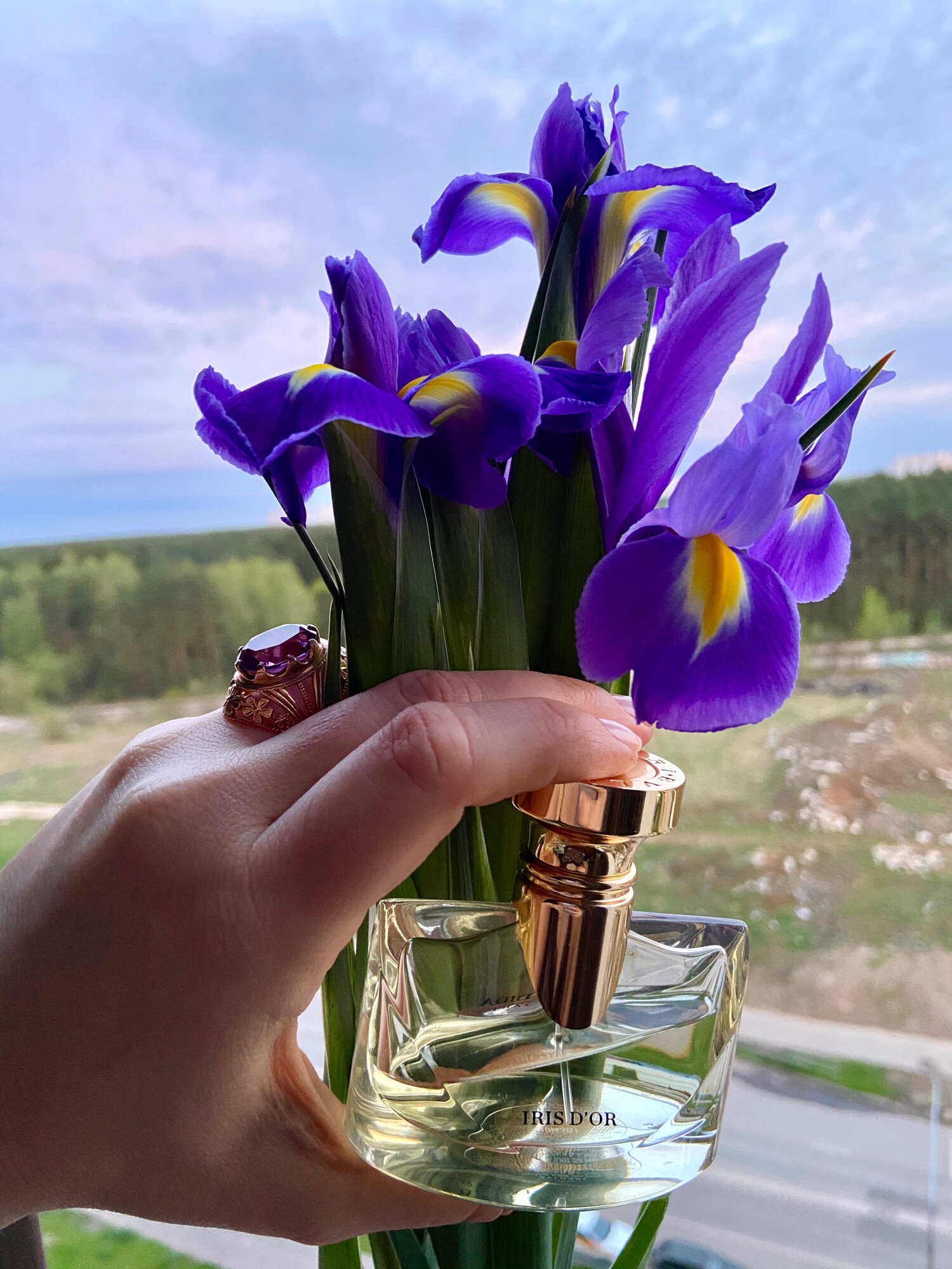 Splendida Iris d'Or Bvlgari perfume - a fragrance for women 2017
