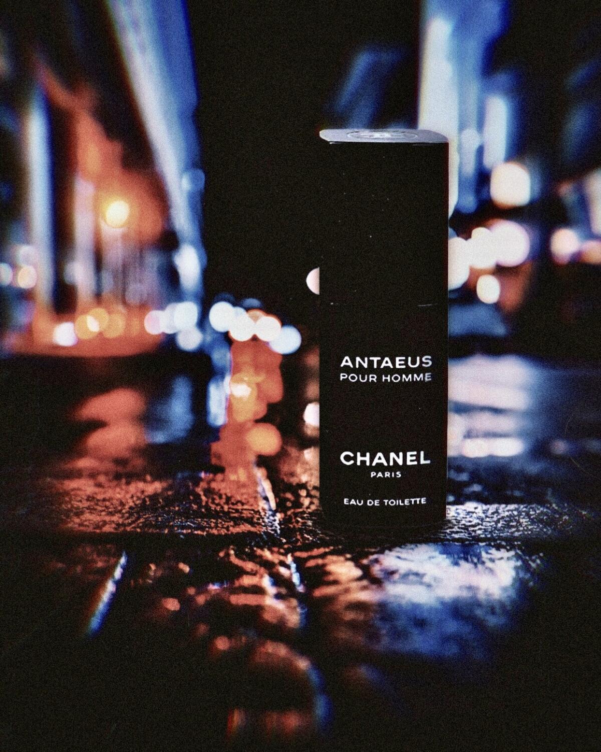 Antaeus Chanel cologne - a fragrance for men 1981