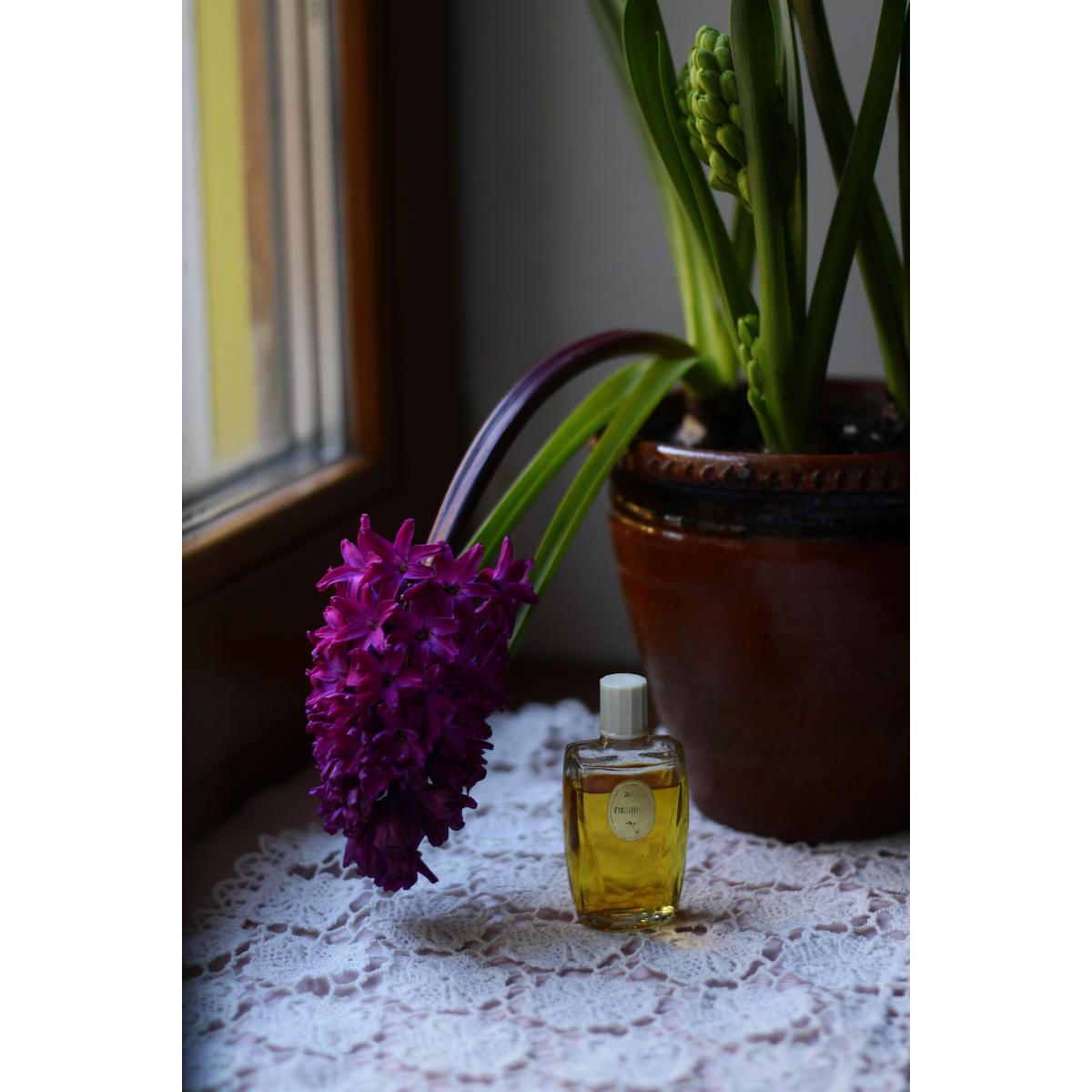 Гиацинт (Hyacinth) Северное сияние perfume - a fragrance for women