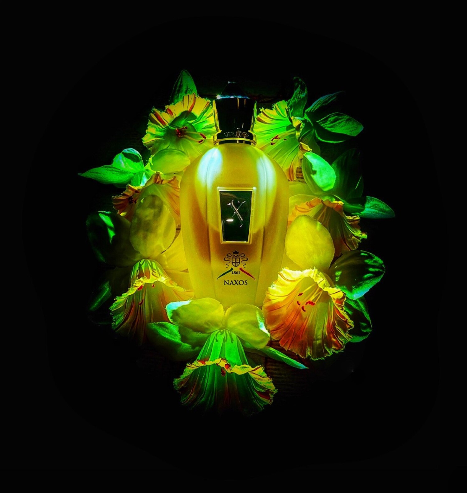 XJ 1861 Naxos Xerjoff perfume - a fragrance for women and men 2015