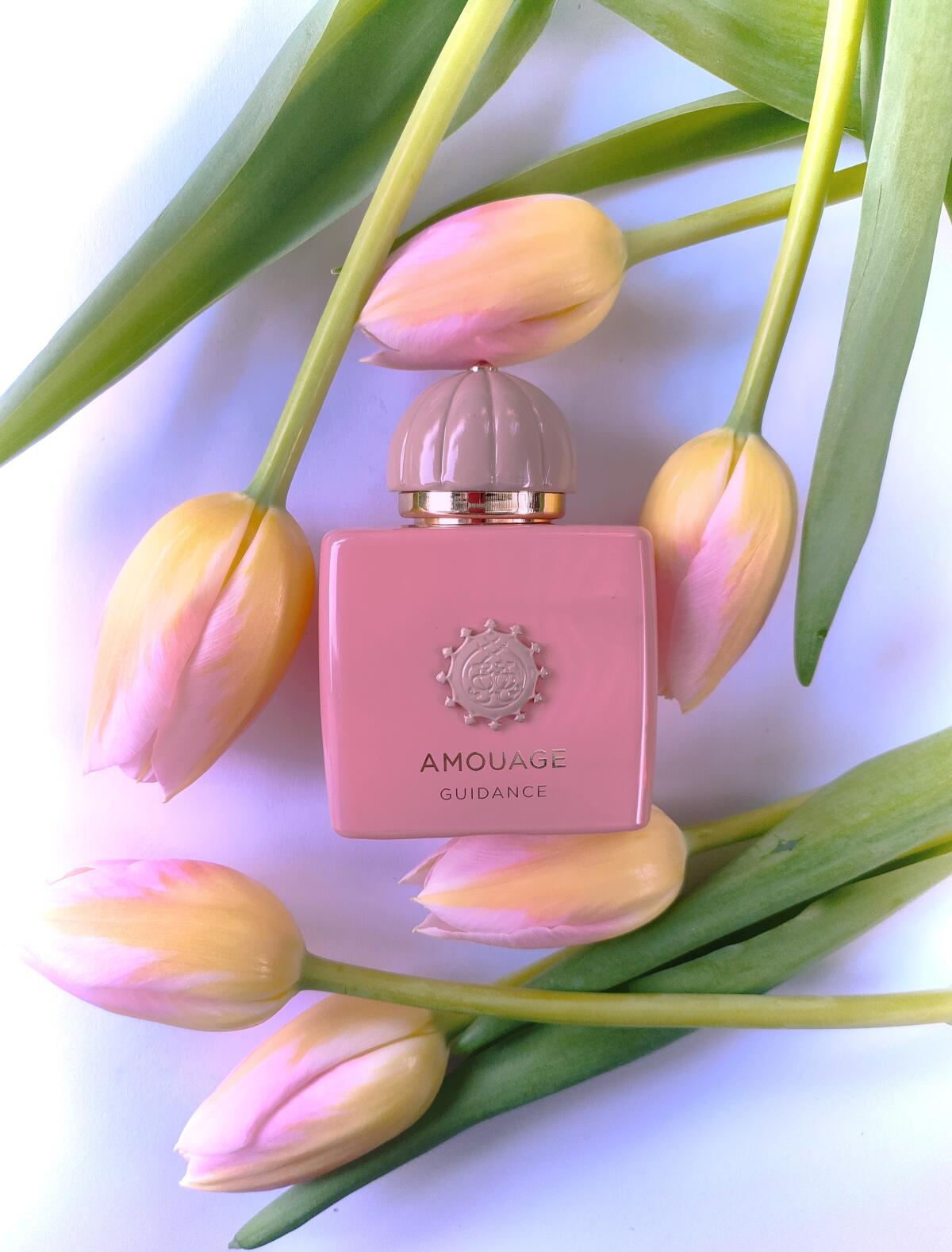 Guidance Amouage perfume - a new fragrance for women and men 2023