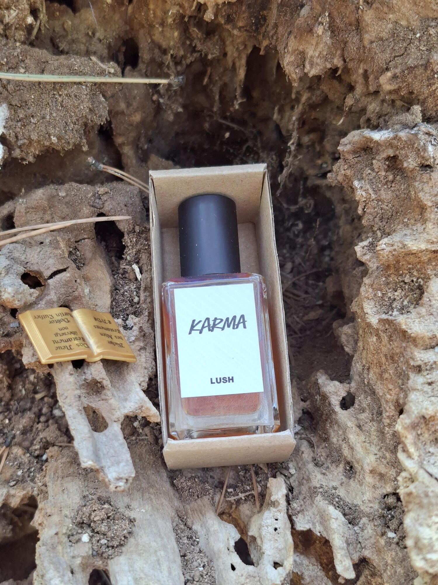Karma Lush perfume - a fragrance for women and men 1995